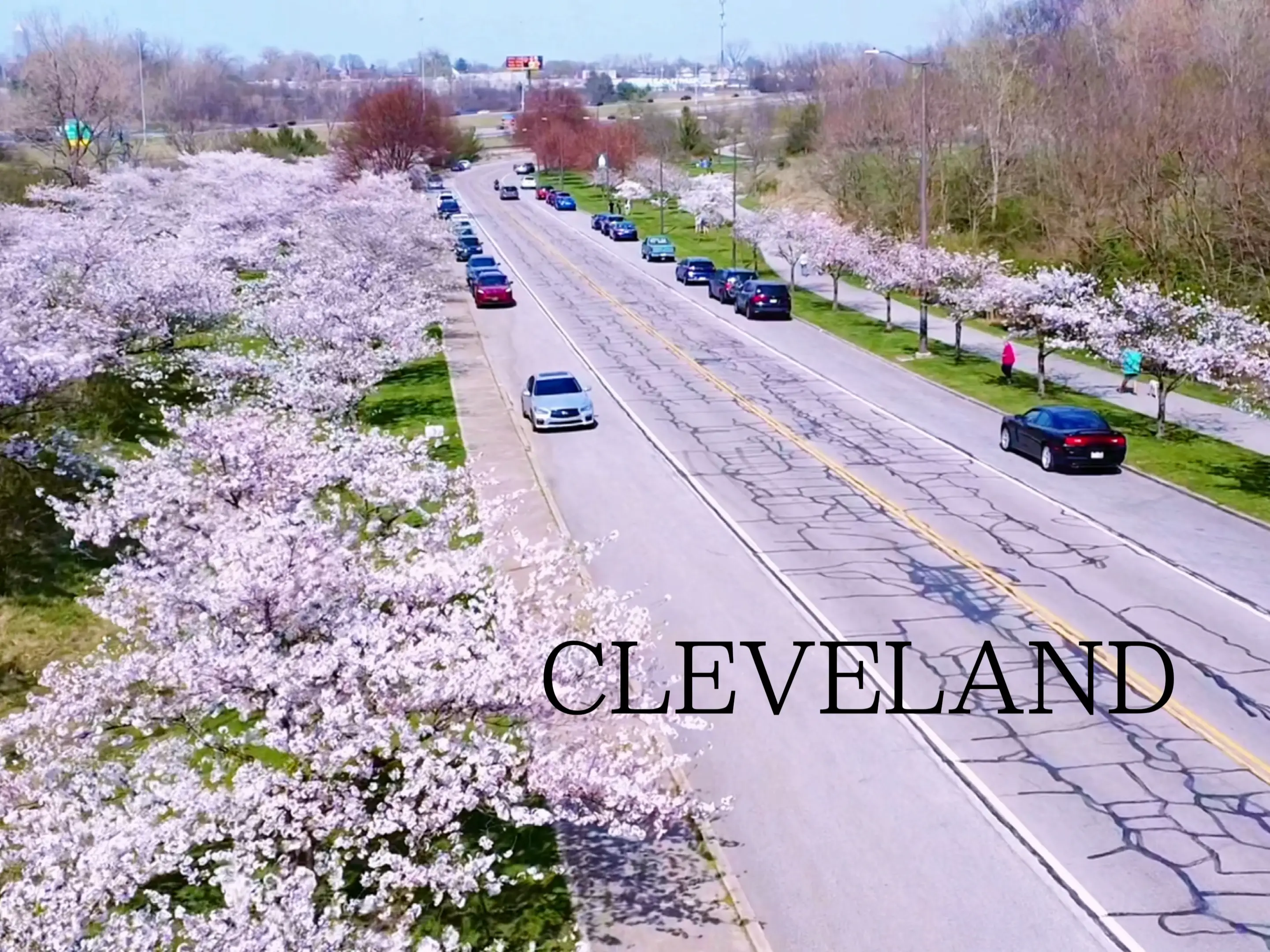 Brookside Reservation’s cherry blossoms>> | Video published by Munkaran ...