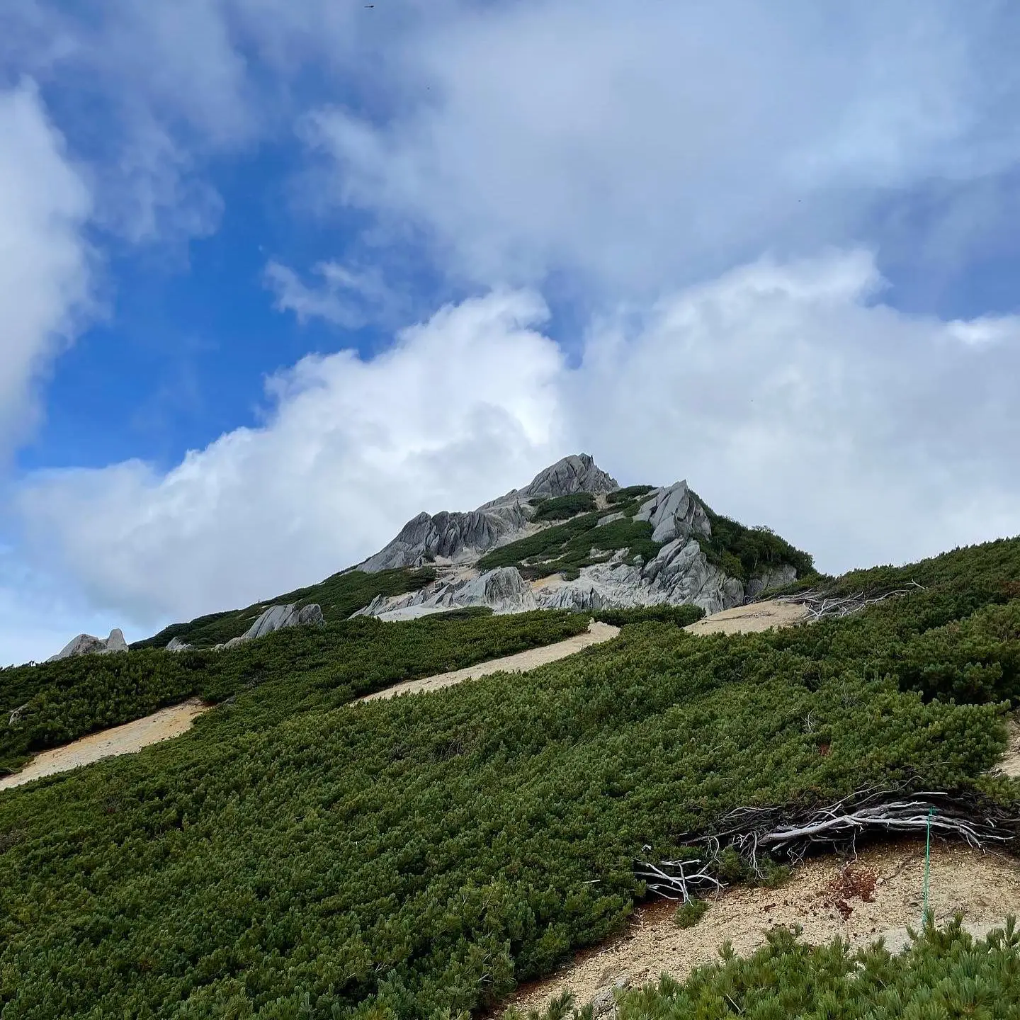 [Yan Yue] Thunderbird Encounter! | Gallery posted by 岳太郎 | Lemon8