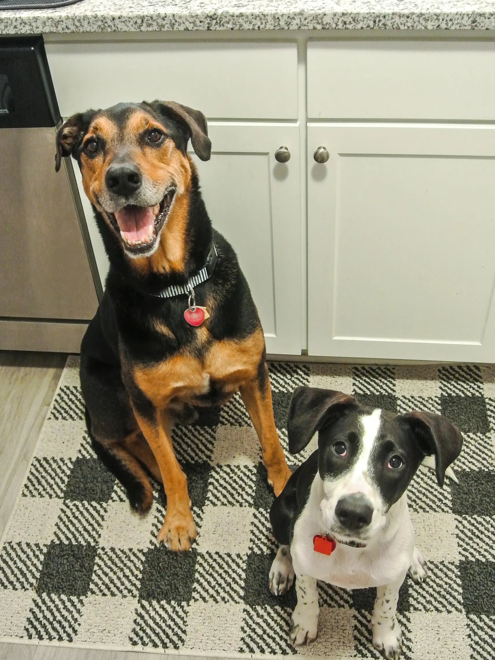 Get to know Brody! | Gallery posted by Mik • Bro • Lu | Lemon8