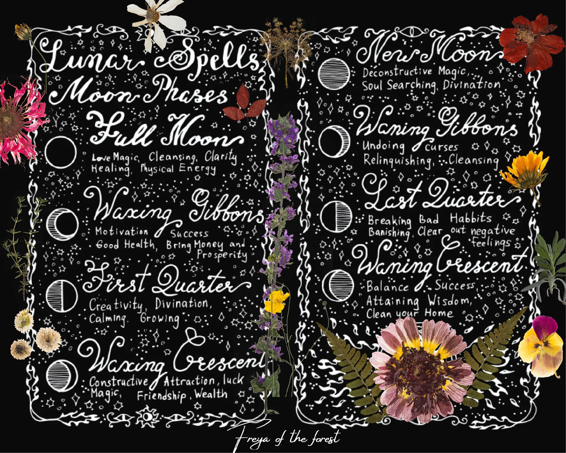 New moon spell.. | Gallery posted by Freya Forest | Lemon8