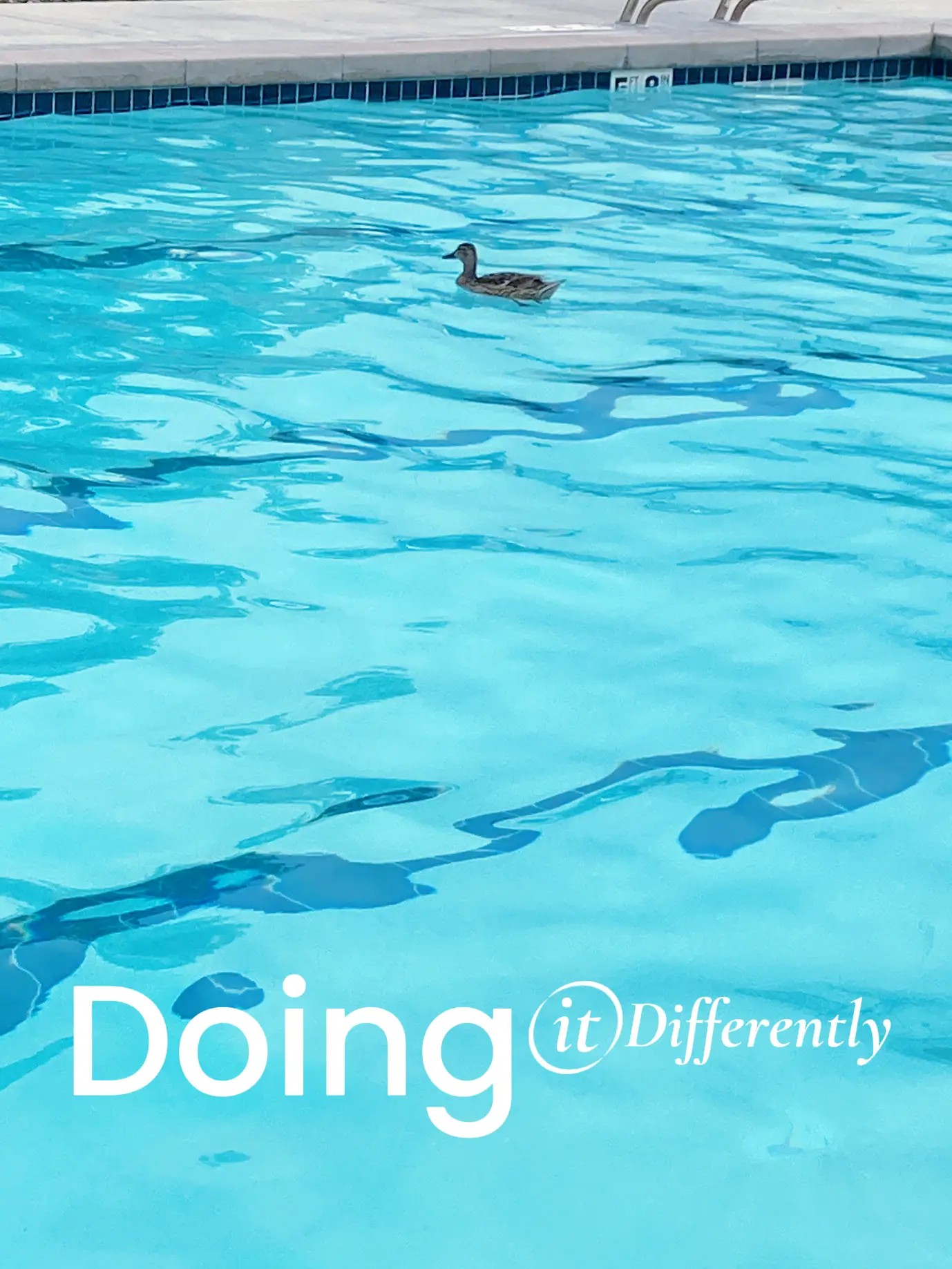 Doing it Differently - Biz talk | Gallery posted by Yoga with Rylie ...