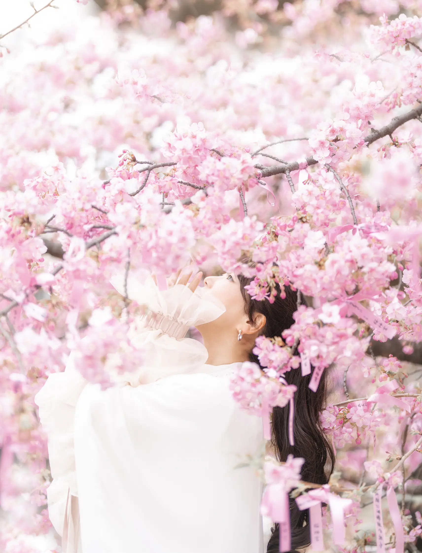 【東京】桜神宮の桜が見頃 御朱印も可愛い🌸 | kumiko_naruが投稿したフォトブック | Lemon8