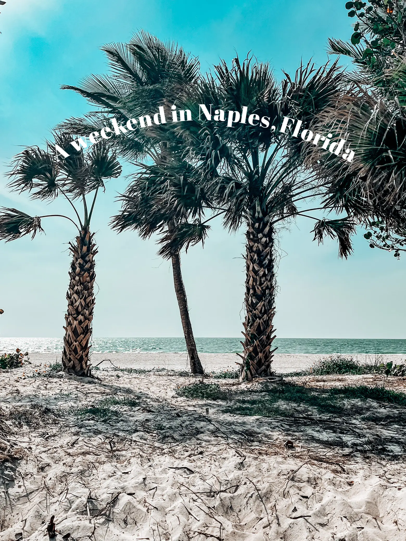 A weekend in Naples, Florida | แกลเลอรีที่โพสต์โดย Jen | Lemon8