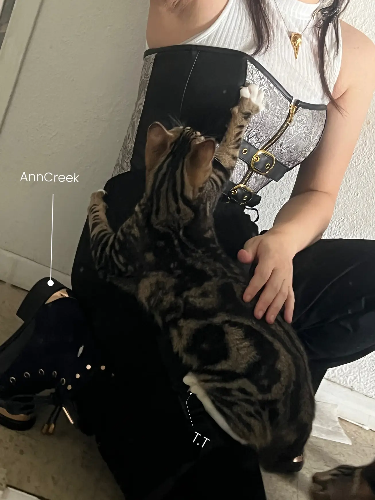 Cats & Corsets | Gallery posted by Mintti_Kitti | Lemon8