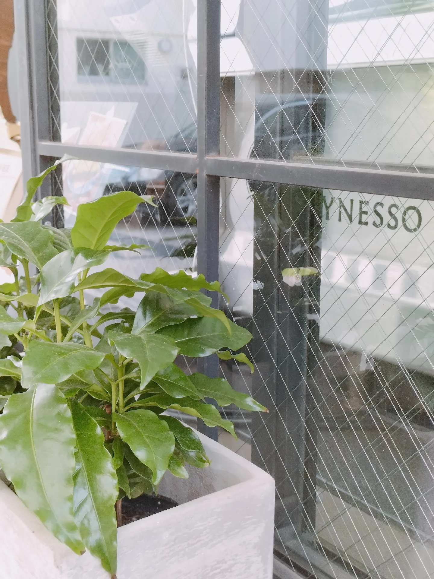 Matilda Coffee and Vegan Bakeは大人カワイイ小さなお店 | IchikoGardnerが投稿したフォトブック ...