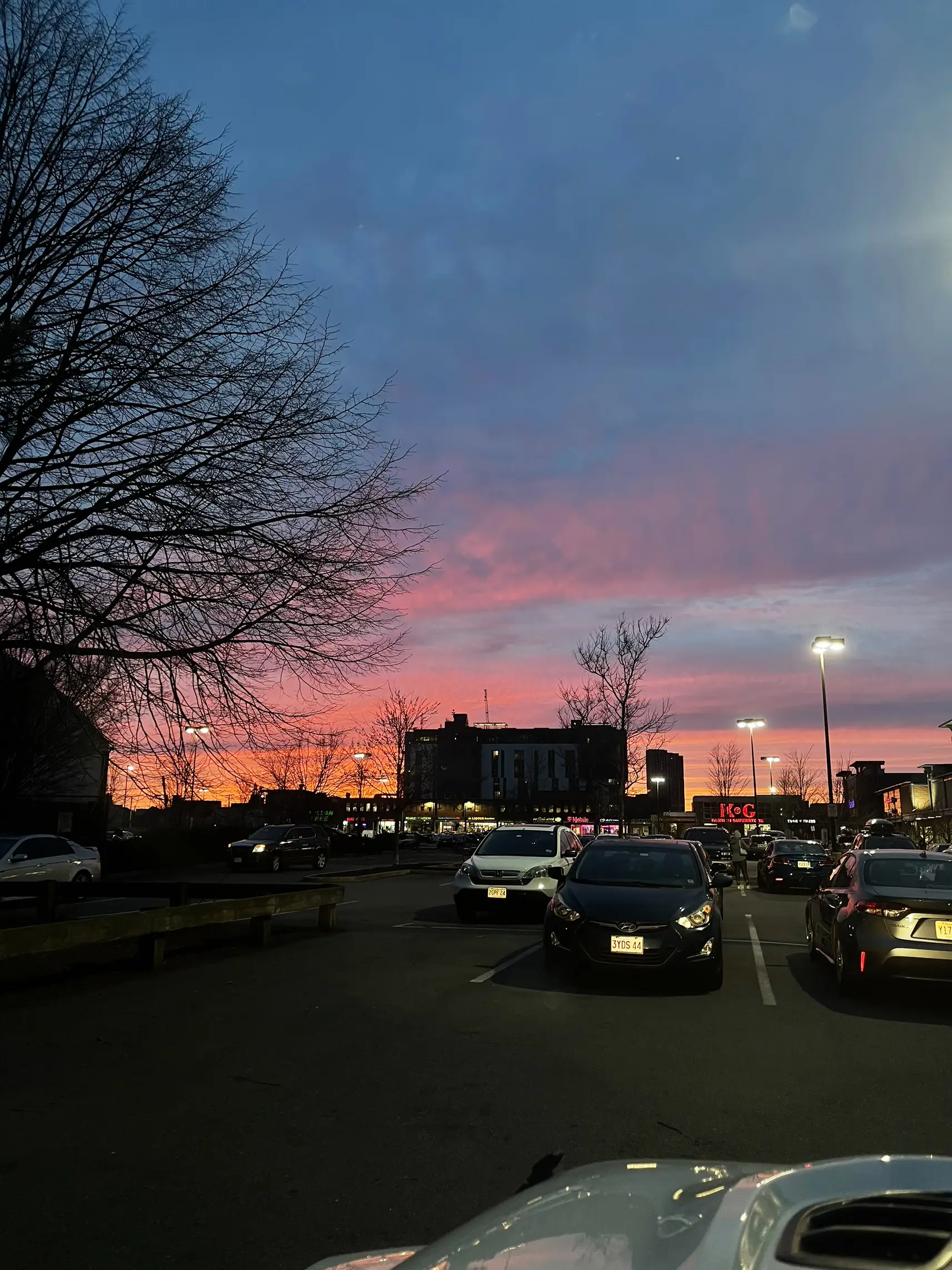 BOSTON | life moments | Gallery posted by bella | Lemon8