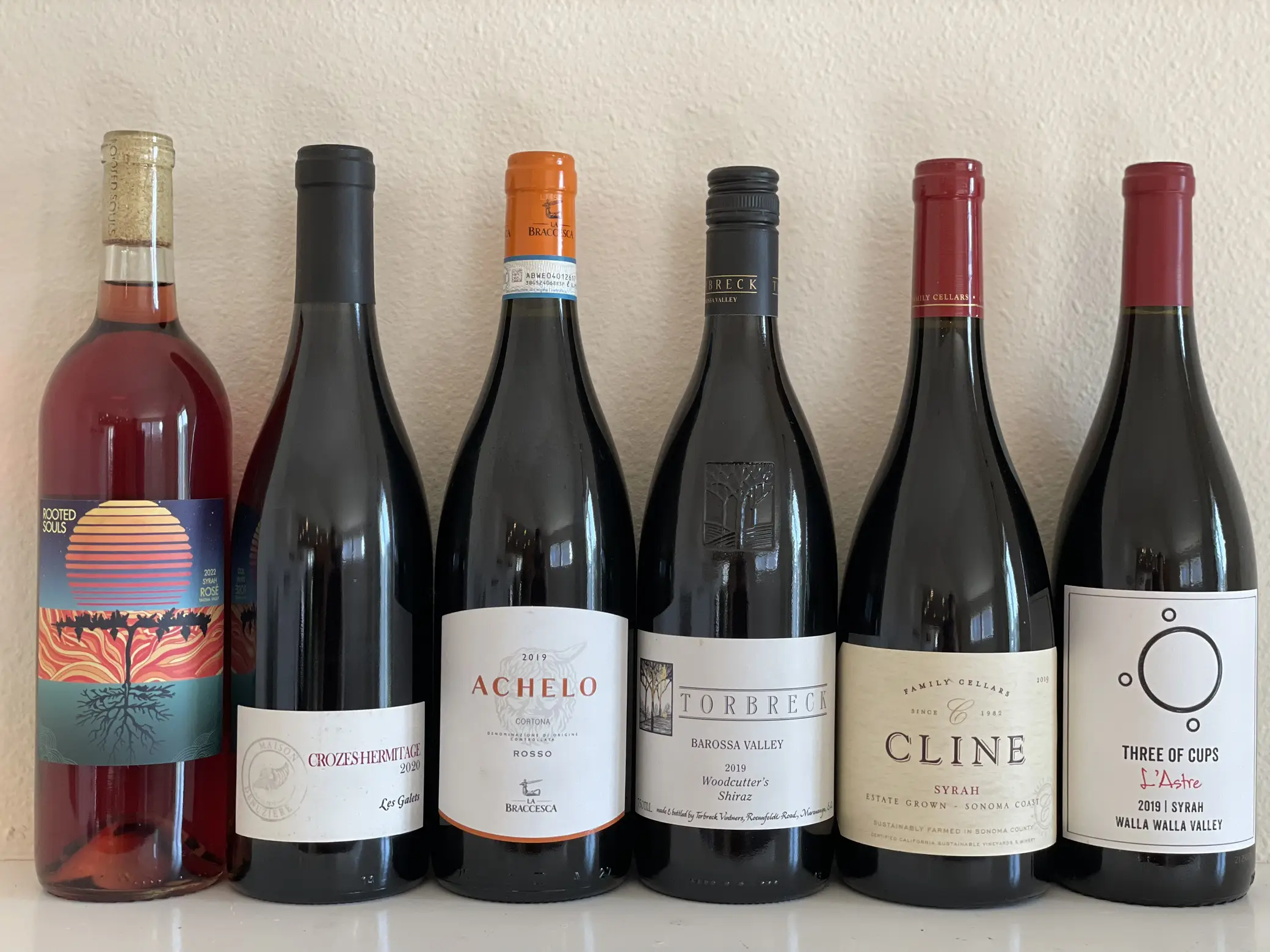 Syrah wine class line up | Gallery posted by TheCasualChef | Lemon8