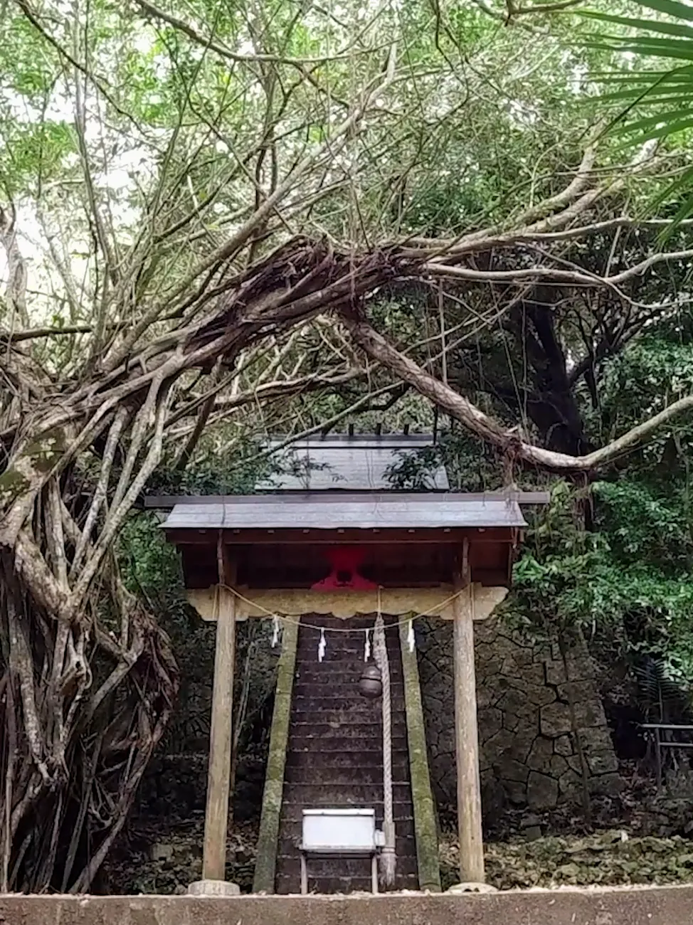 Minami Daito Island 】 Atmospheric shrine surrounded by dense trees ...