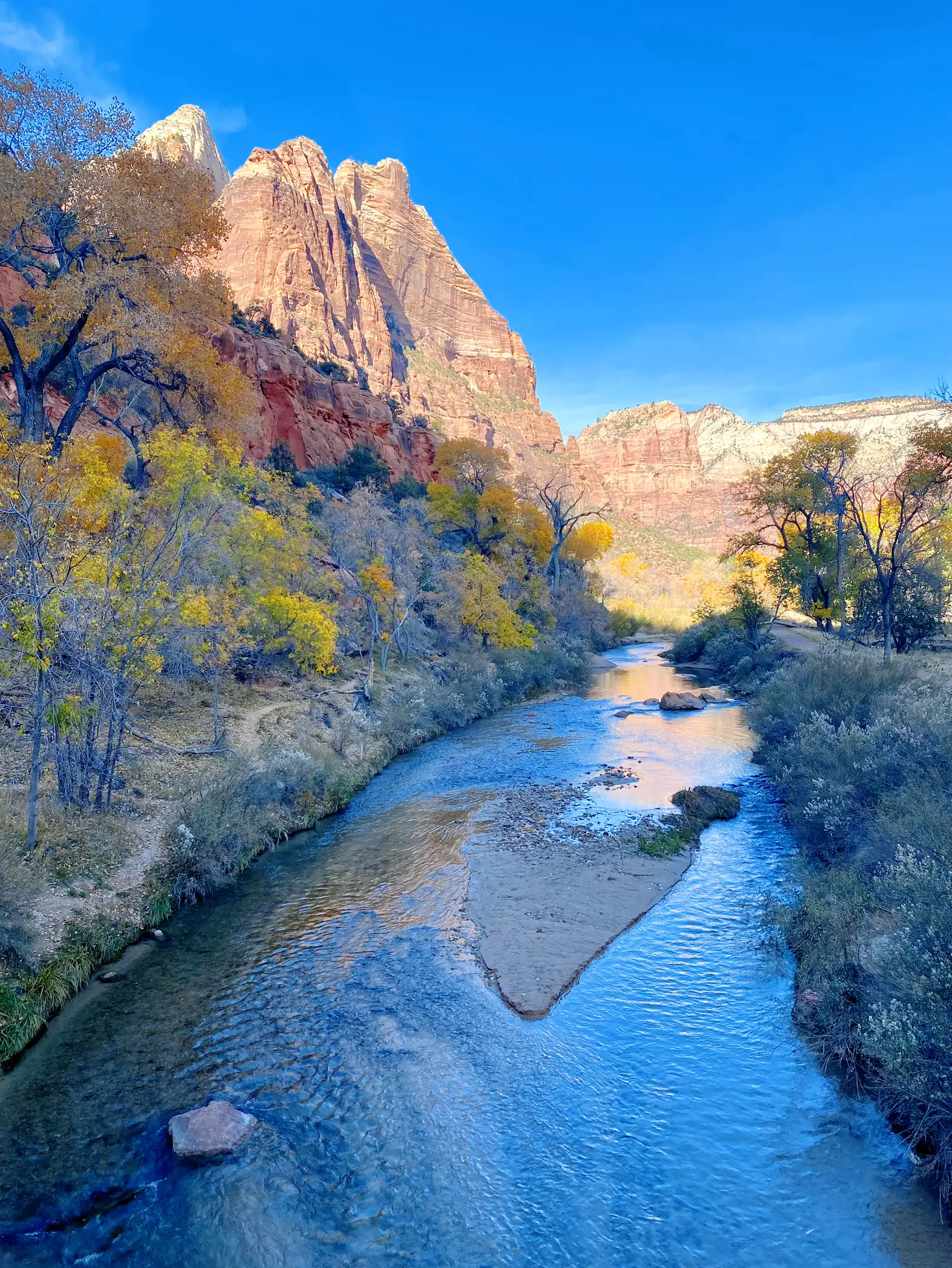 Zion National Park | Gallery posted by Katie Brophy | Lemon8