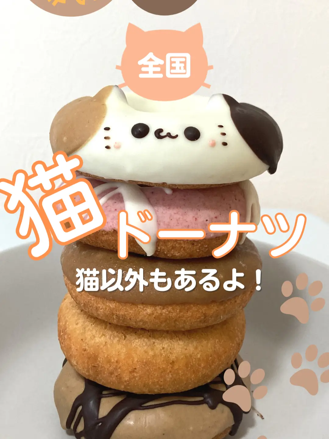 Cute cat donut🐈🍩 | Video published by 【モノコ】インスタみてね🐈 | Lemon8