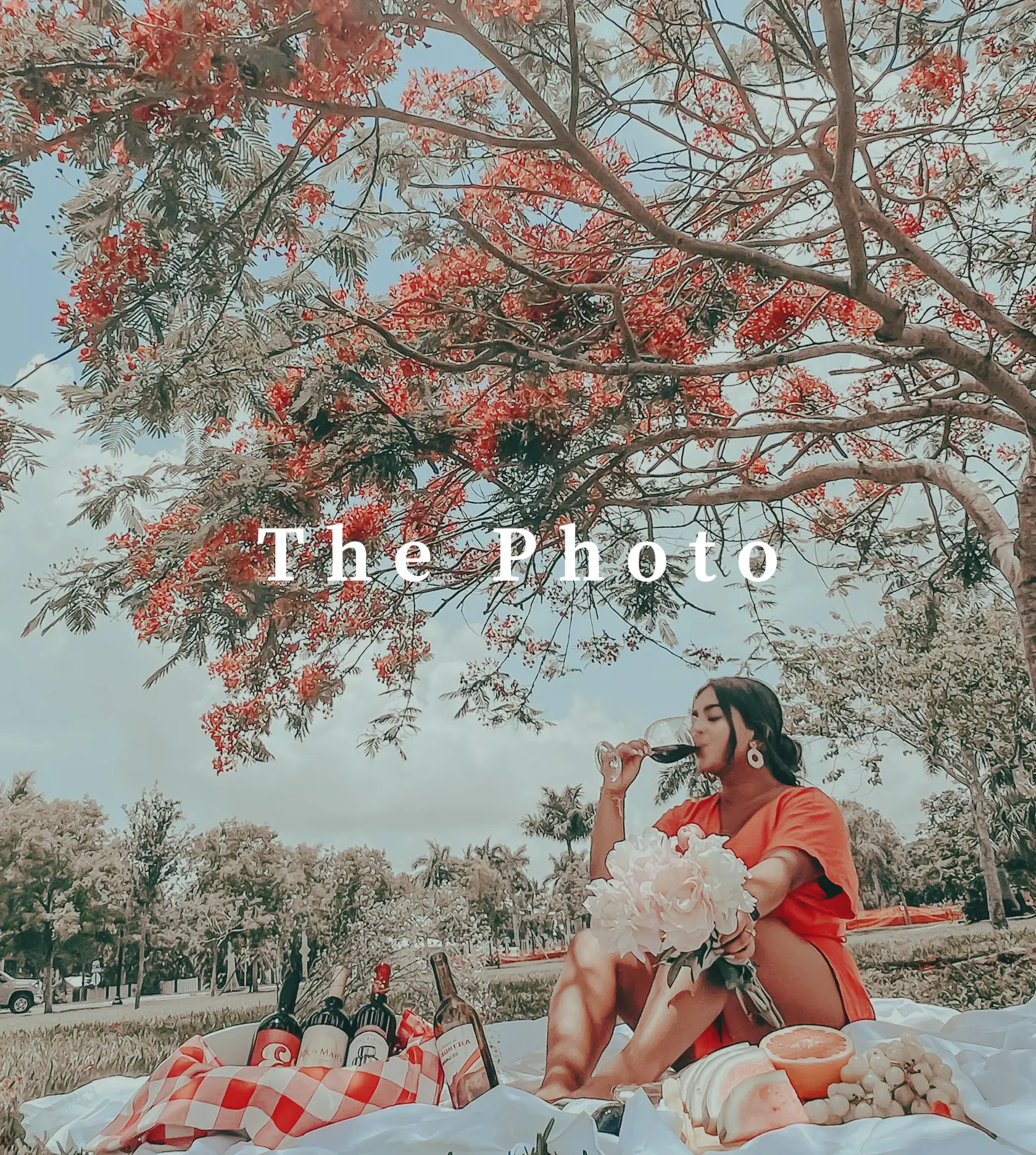 Picnic at the Park | Krupa Patelが投稿したフォトブック | Lemon8