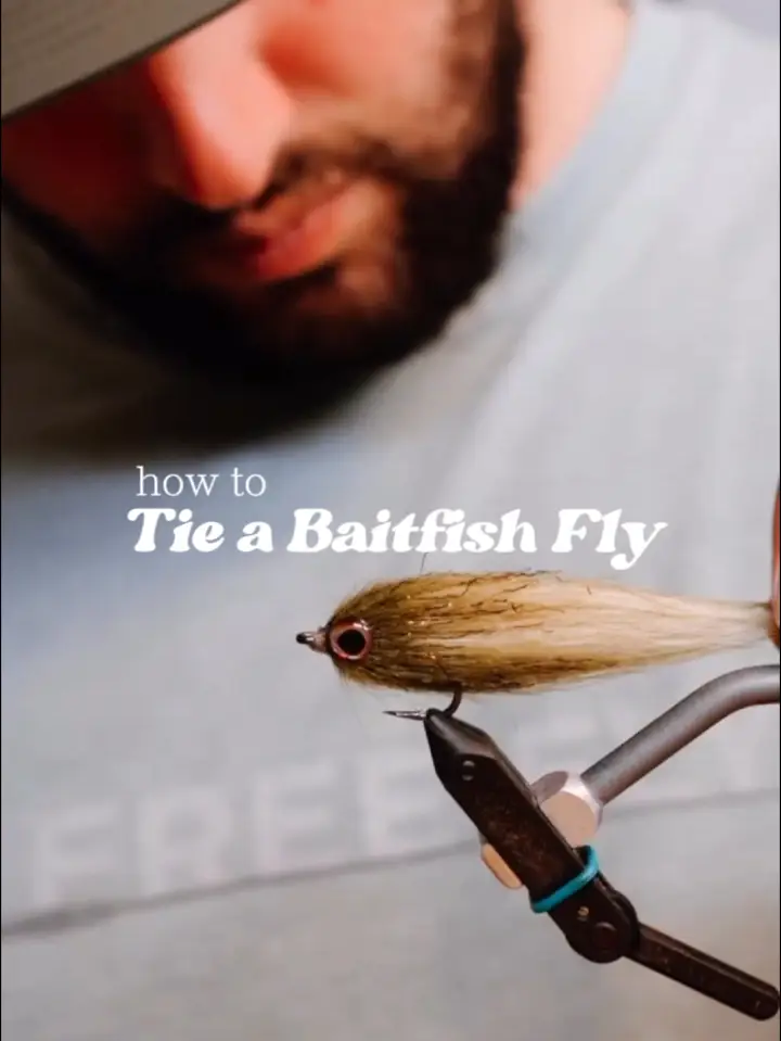 How to Tie a Baitfish Fly | Video published by @freeflyapparel | Lemon8