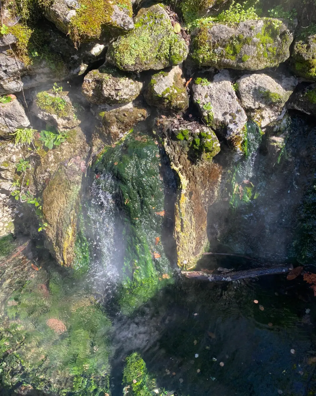 Hotsprings is one to remember | Gallery posted by Zachary Bushey | Lemon8