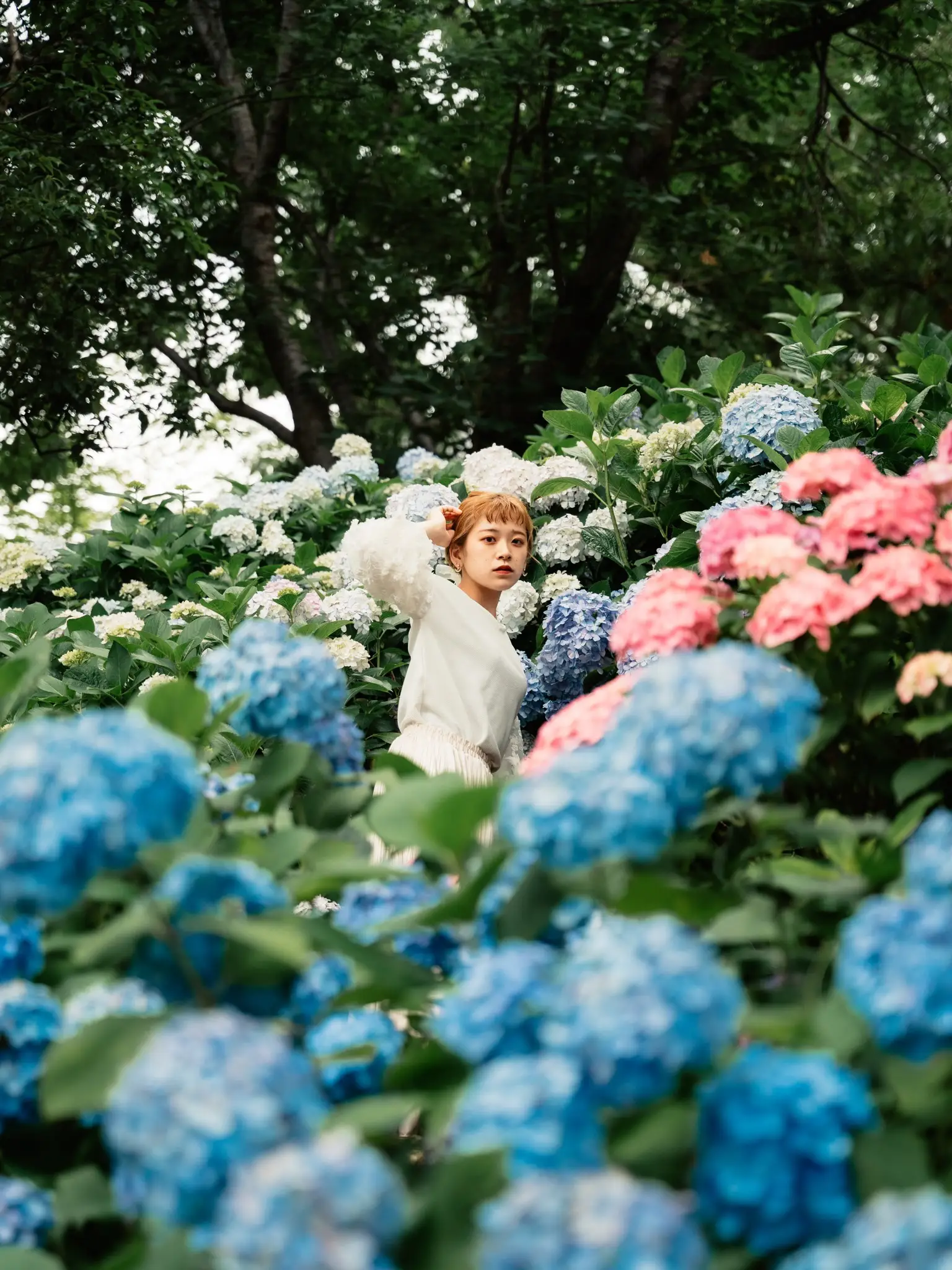 [Nagasaki] actually free to enter Huis Ten Bosch hydrangea spot | Gallery posted by はやと/九州スポット紹介 ...