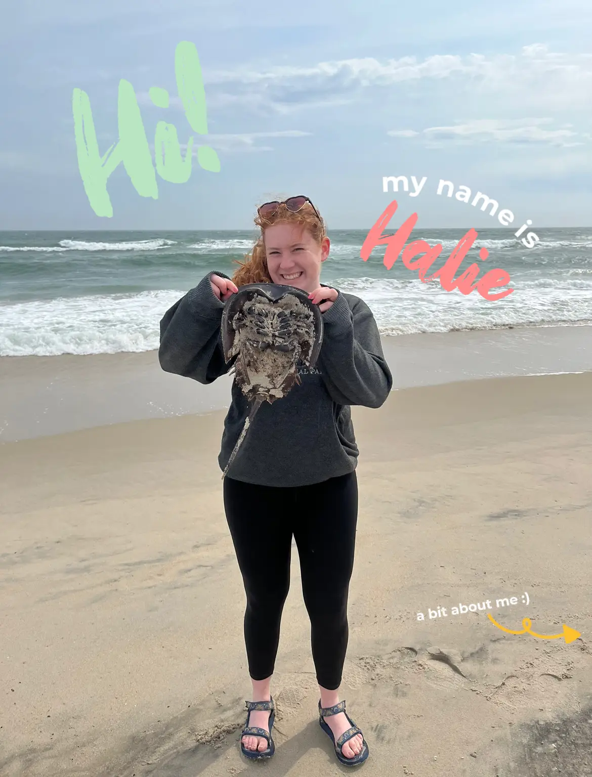 Hiii🦋 | Gallery posted by halie | Lemon8