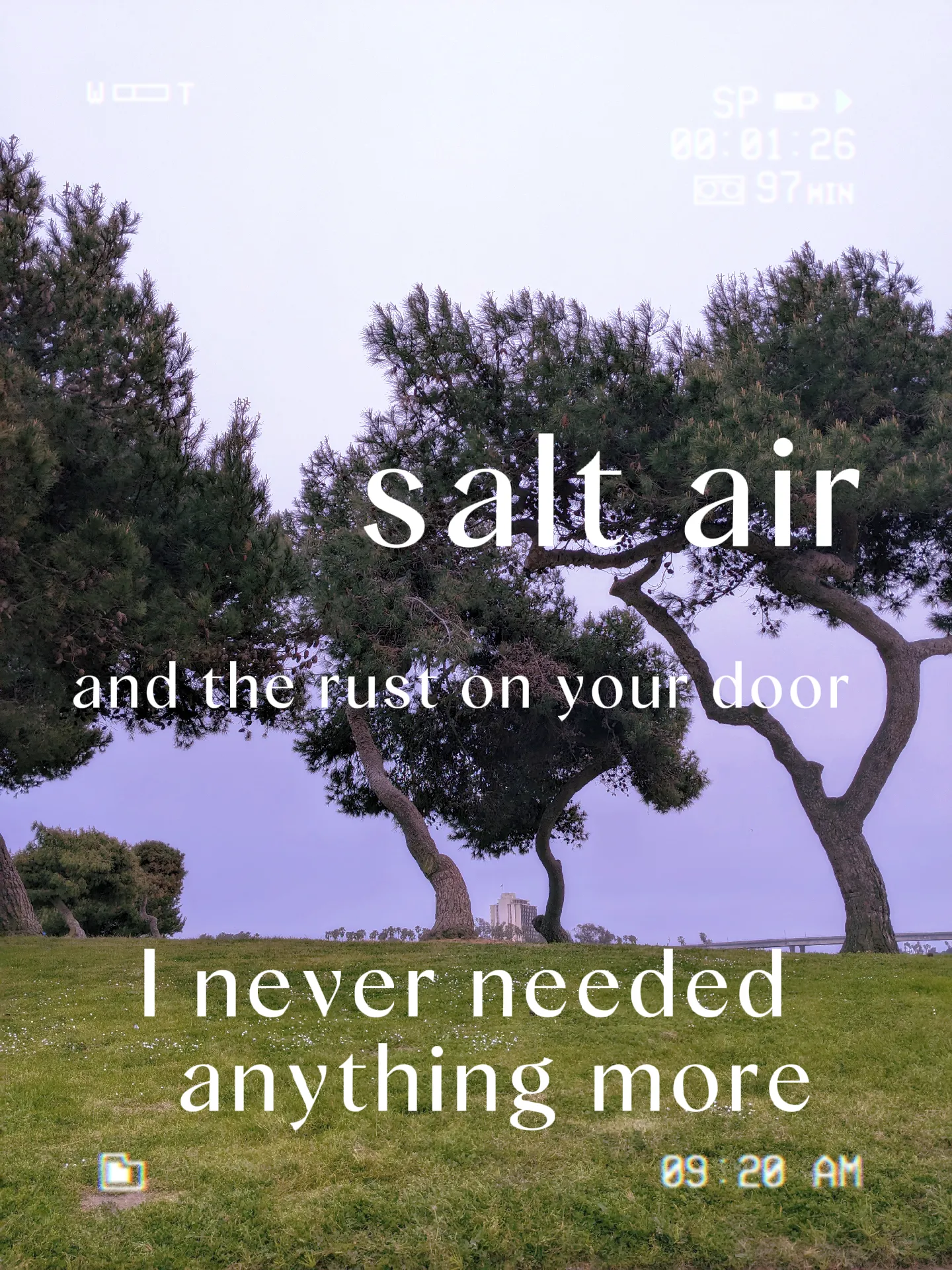 salty air and warm feelings | Gallery posted by cambria she/her | Lemon8