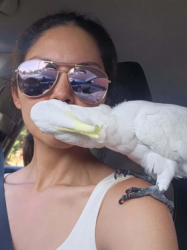 when the Bird decides to show the love. | Gallery posted by Chooch | Lemon8