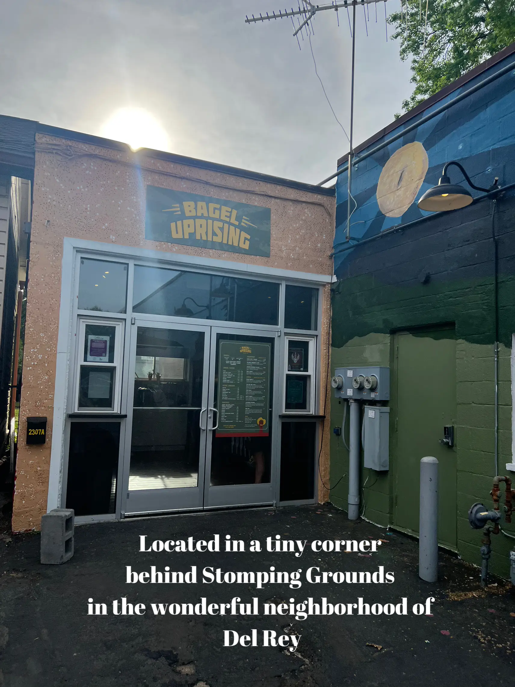 Bagel Uprising in Del Rey VA | Gallery posted by gothcider | Lemon8