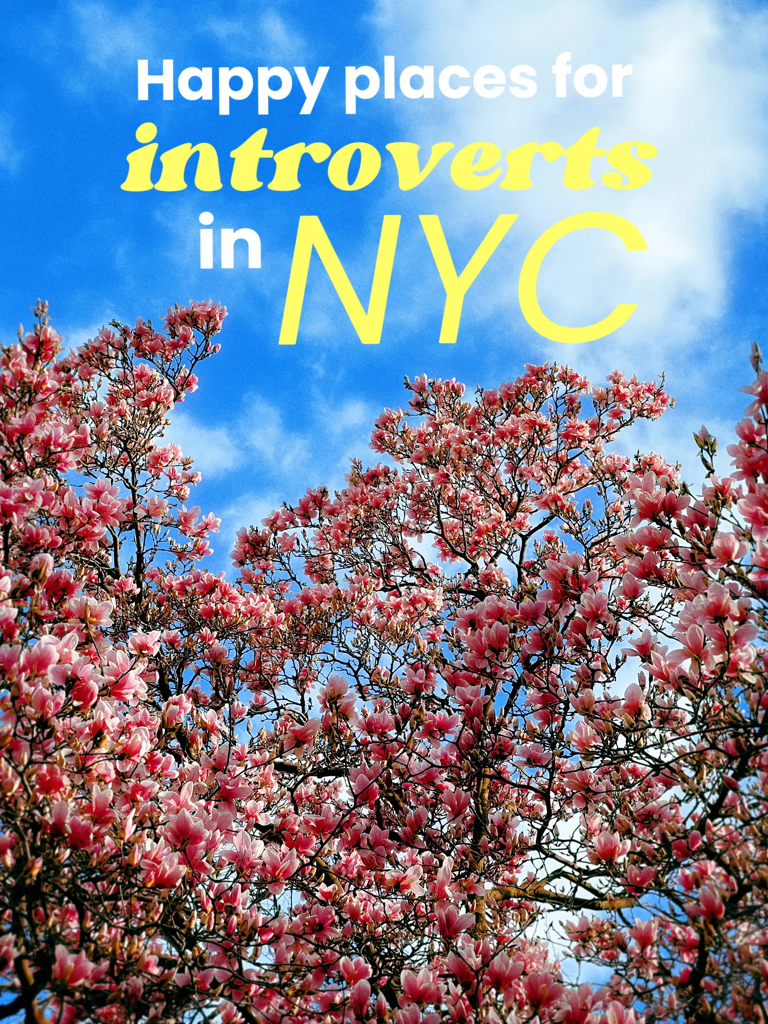 Happy places for introverts in NYC (Part 1) | Gallery posted by K | Lemon8