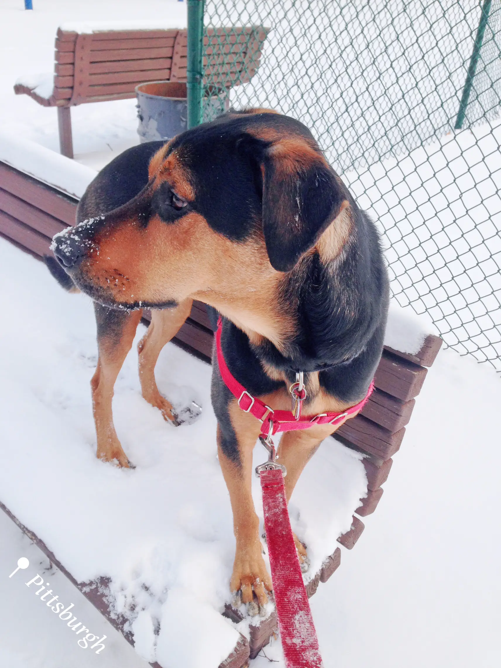 Get to know Brody! | Gallery posted by Mik • Bro • Lu | Lemon8