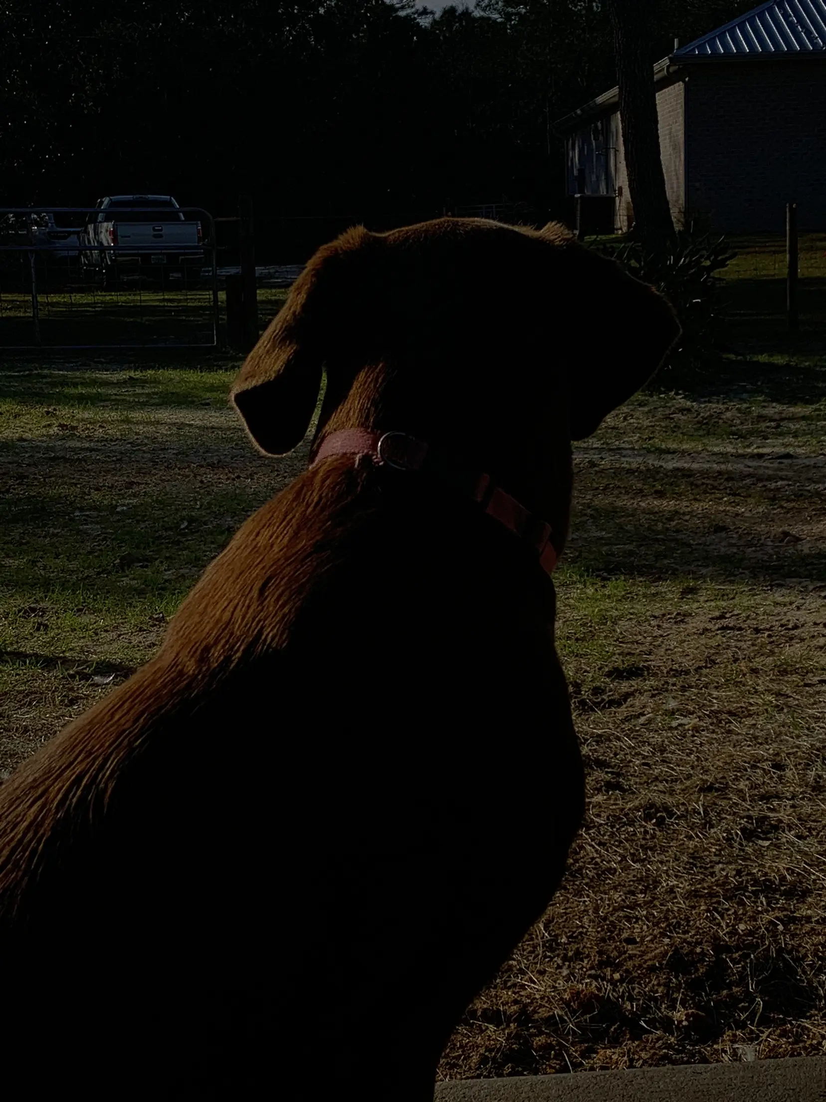 Grab life by the horns! | แกลเลอรีที่โพสต์โดย The Farm | Lemon8