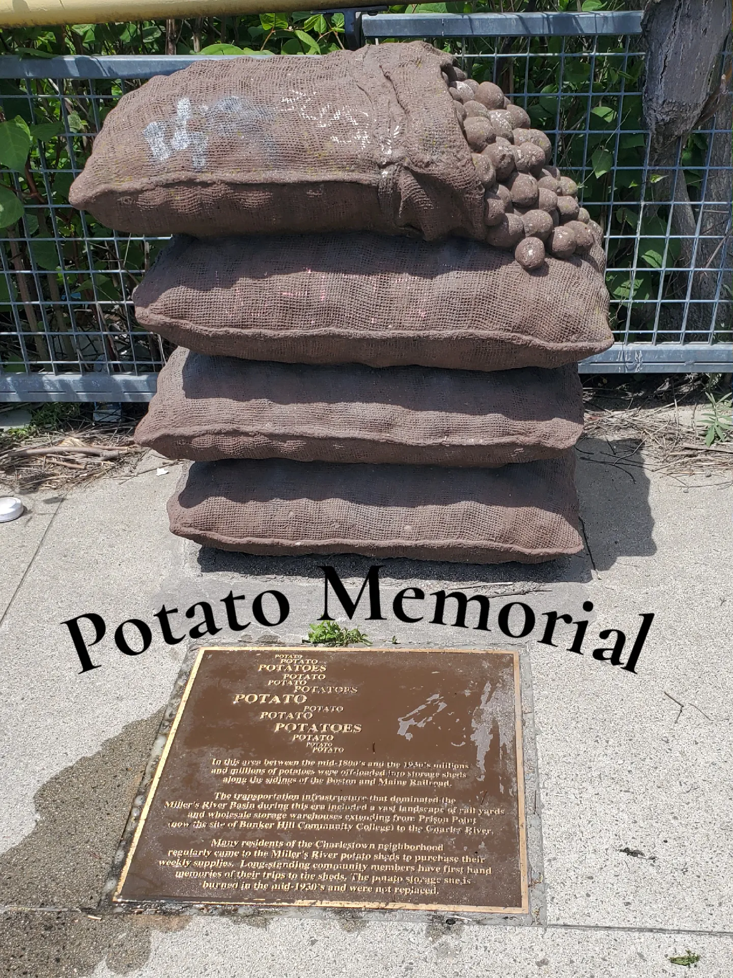 Potato Memorial | Gallery posted by Serendipity | Lemon8