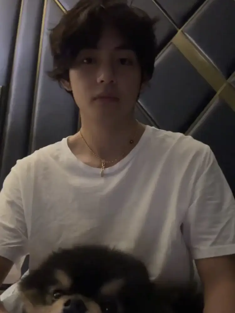 V＆ヨンタン💜보라해🤟🏻💜 . . . #BTS # | Cohaaaaが投稿したフォトブック | Lemon8