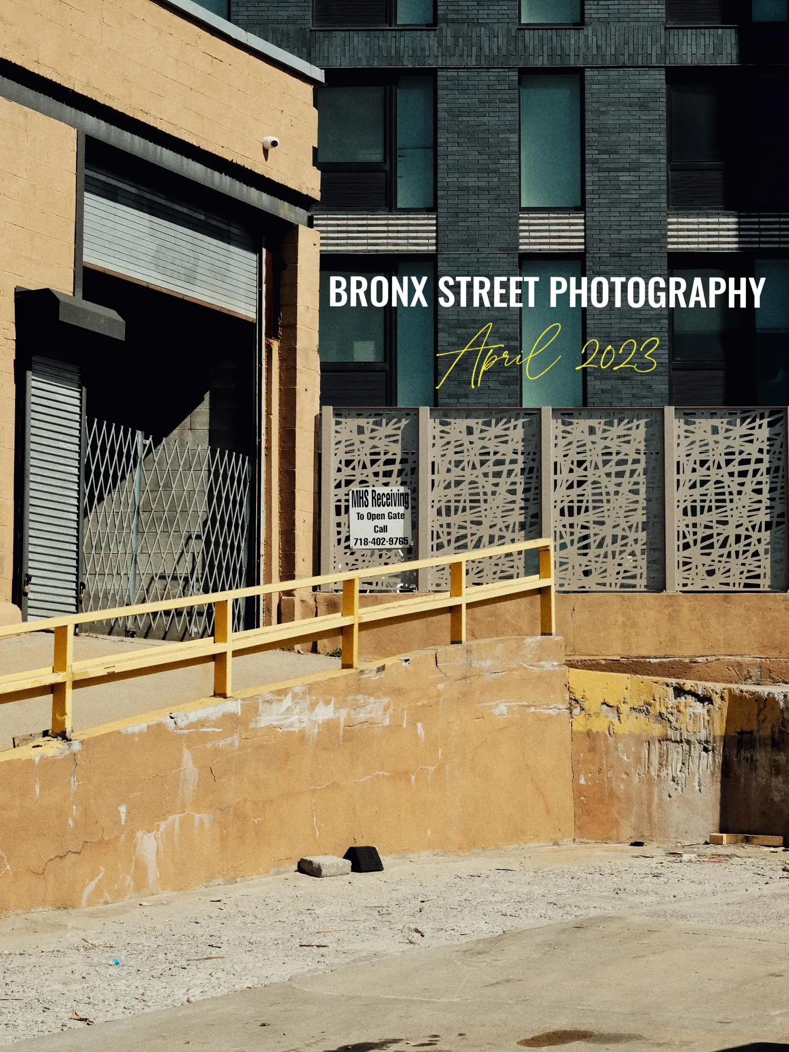 BRONX STREET PHOTOGRAPHY | Gallery posted by Stef | Lemon8