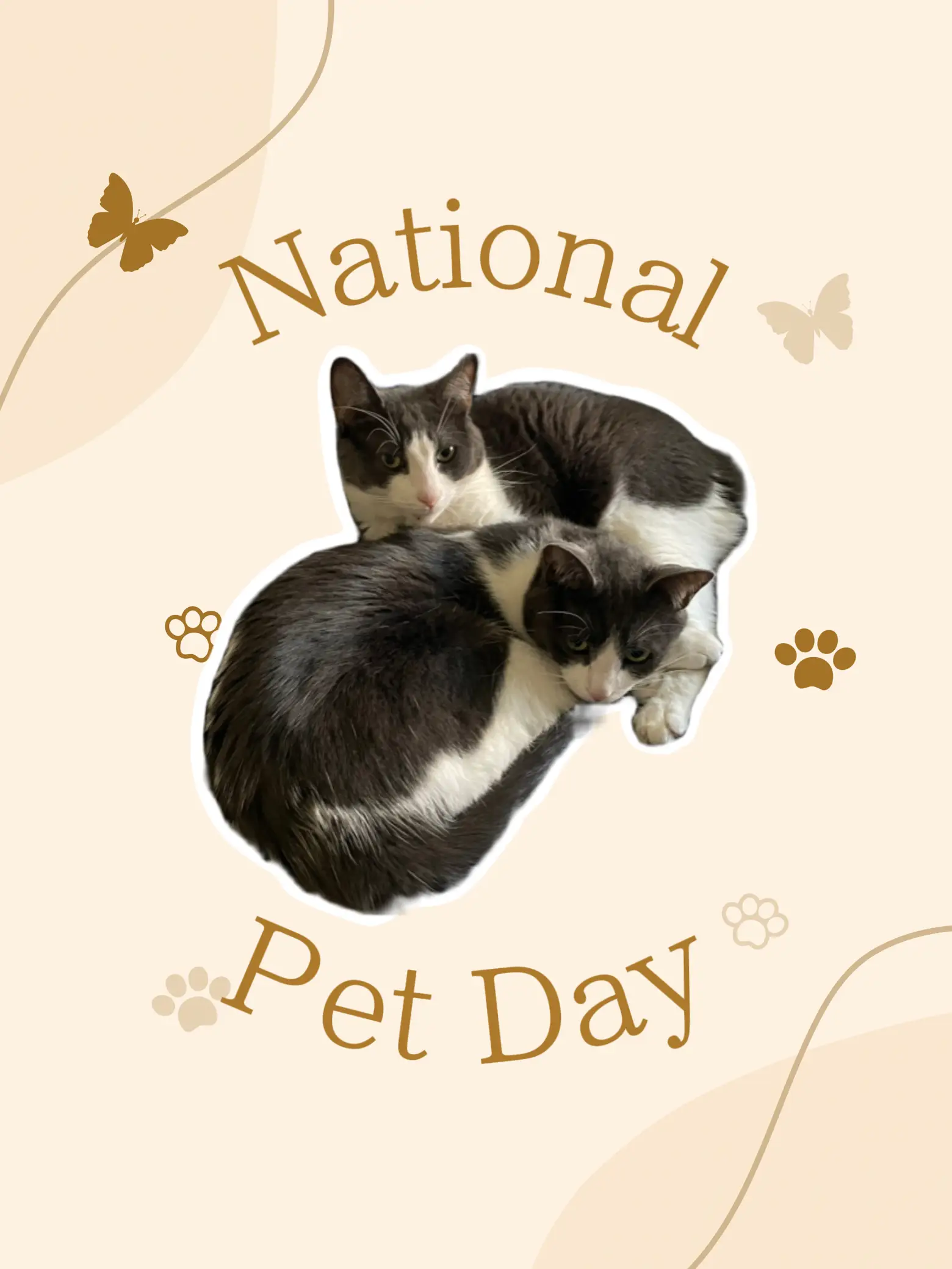 National Pet Day 🐾 | แกลเลอรีที่โพสต์โดย Jessica | Lemon8