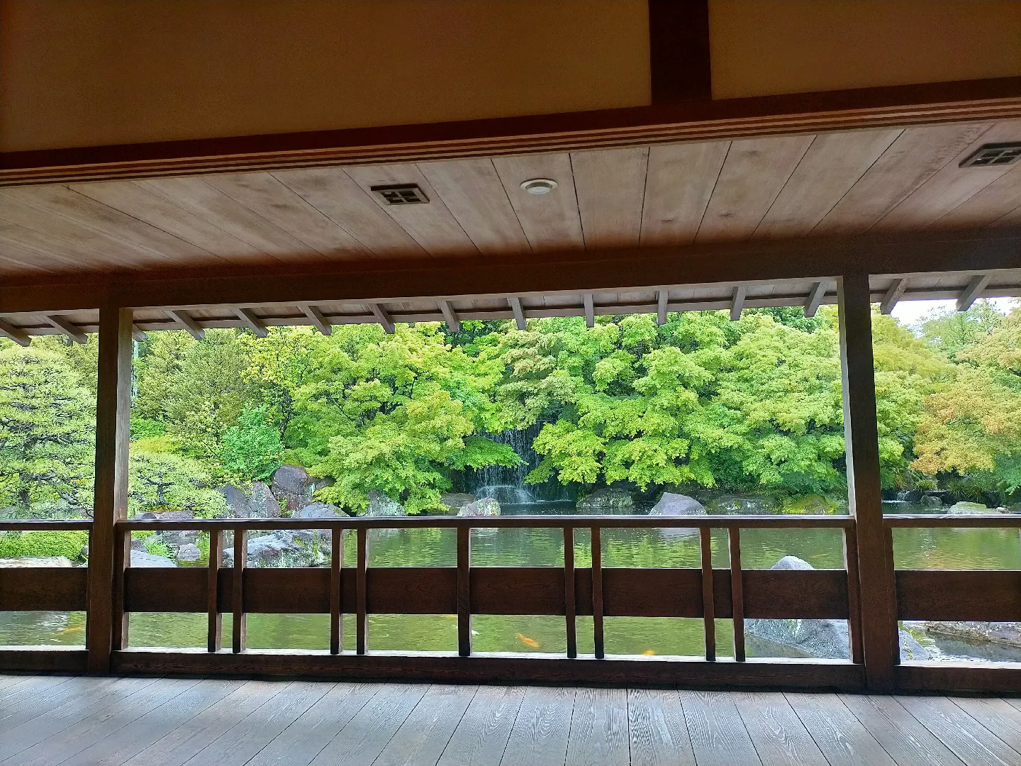 GW ในที่สุดฝนก็ตกกระทบสวนโบราณที่ดี | แกลเลอรีที่โพสต์โดย TO55 | Lemon8