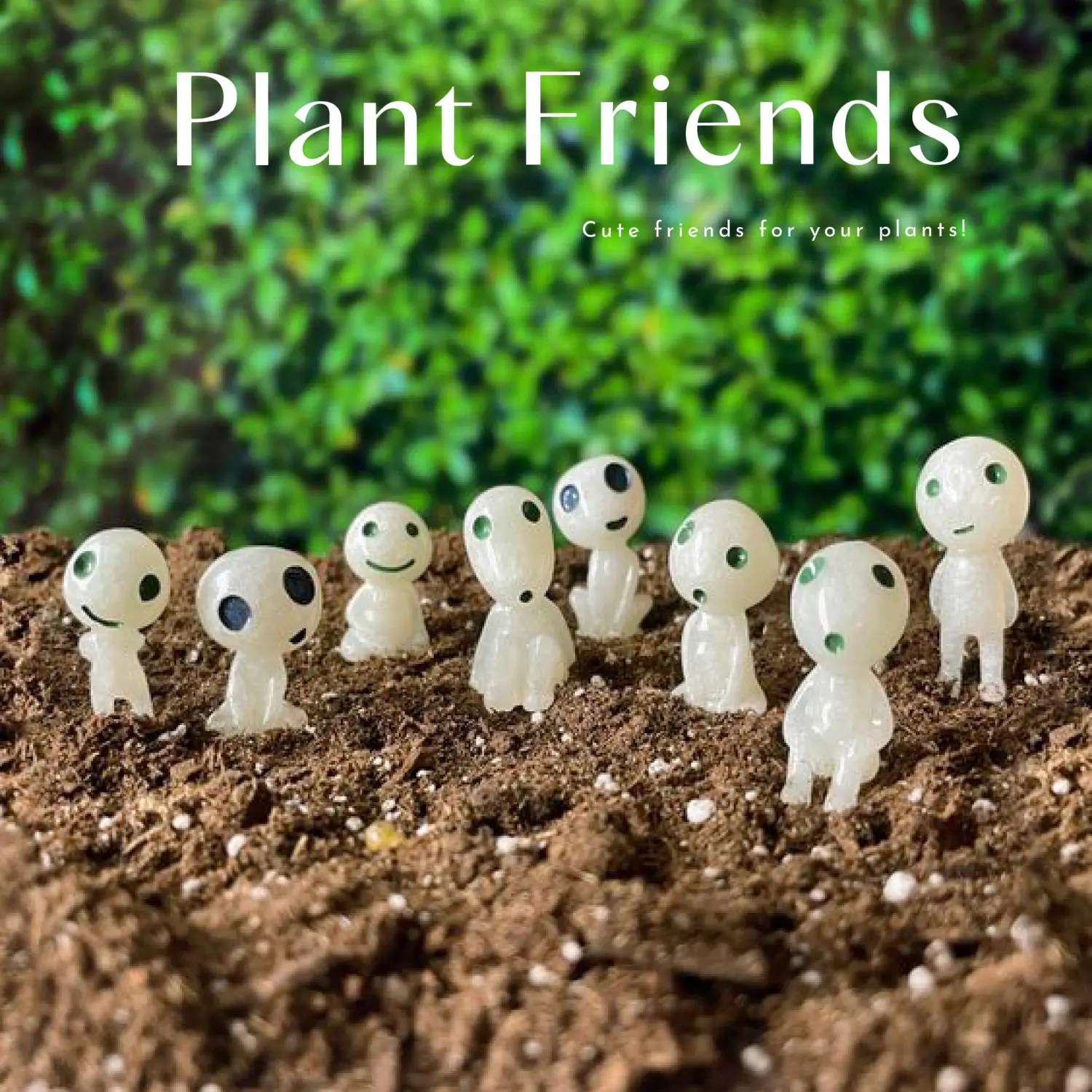 Your plants need some friends, too! | แกลเลอรีที่โพสต์โดย byMirelo | Lemon8