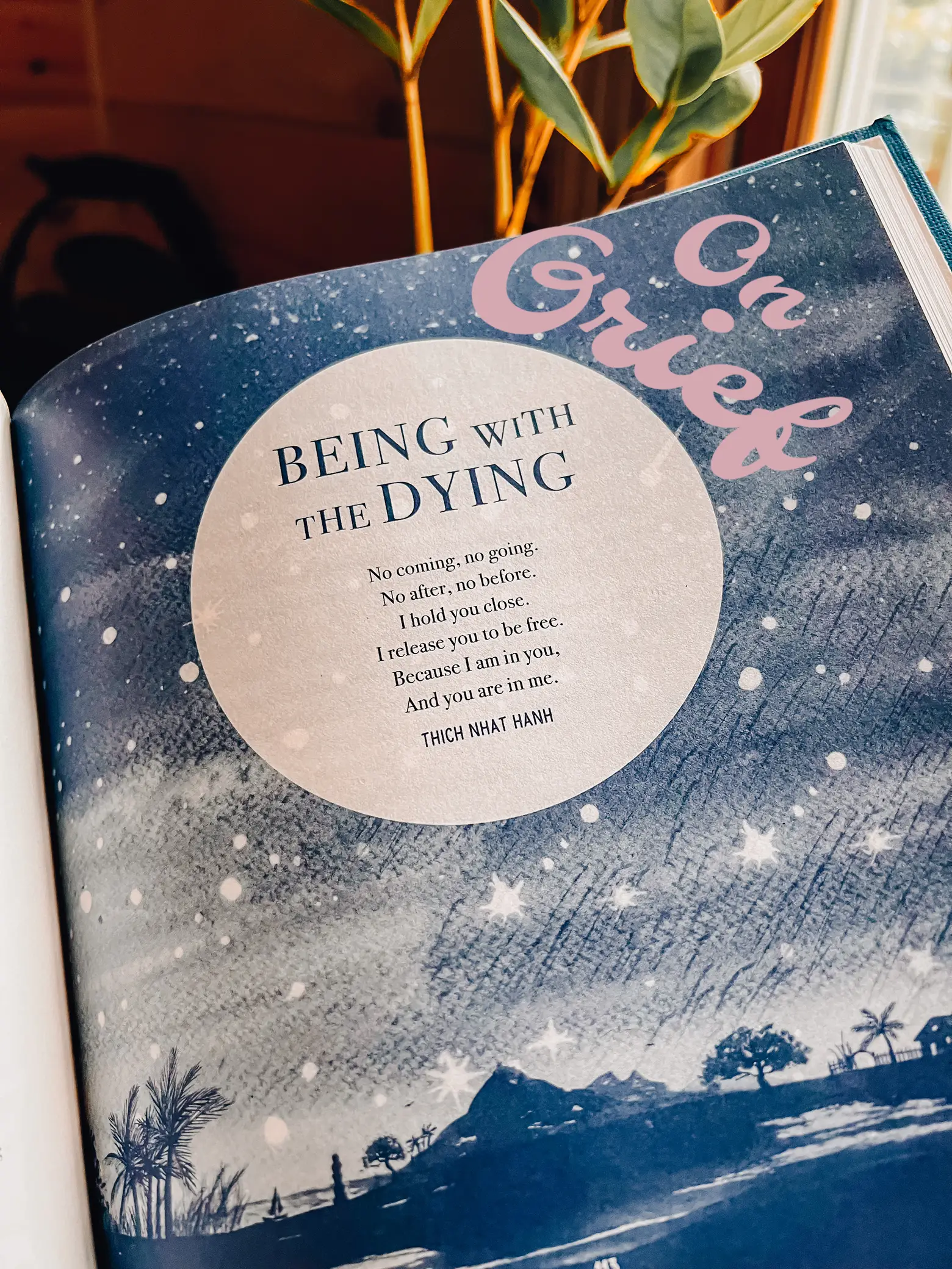 Grief. Are we ever prepared? | Gallery posted by Nikki | Lemon8