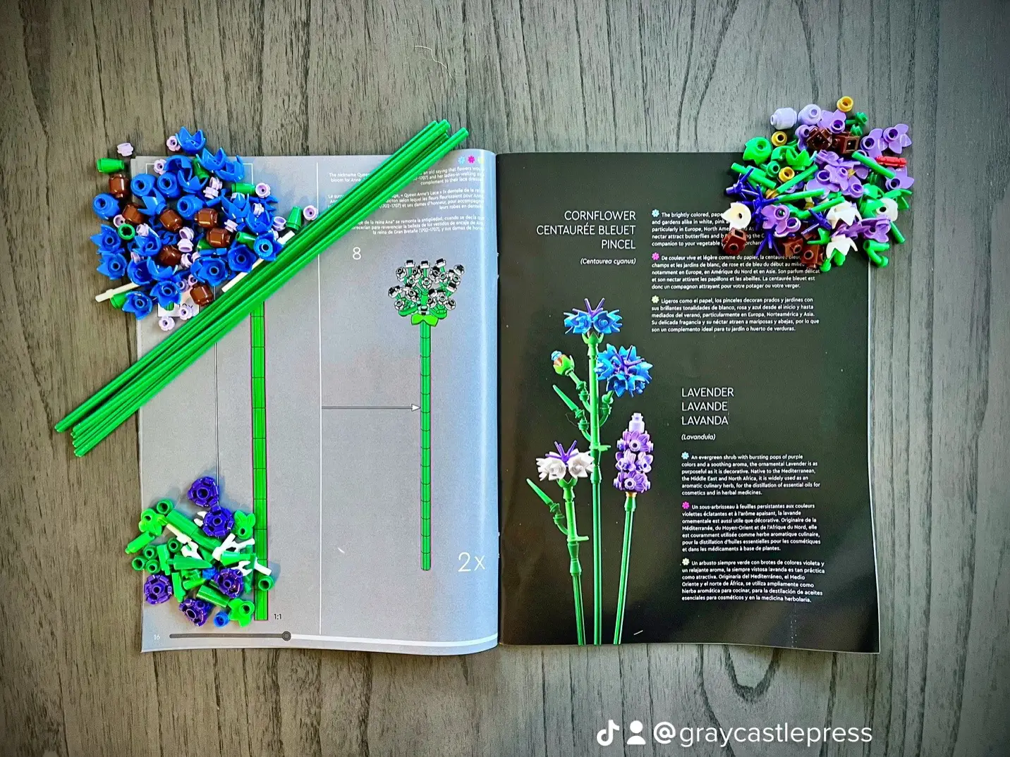 Lego Wildflowers, Week 2 | Gallery posted by graycastlepress | Lemon8