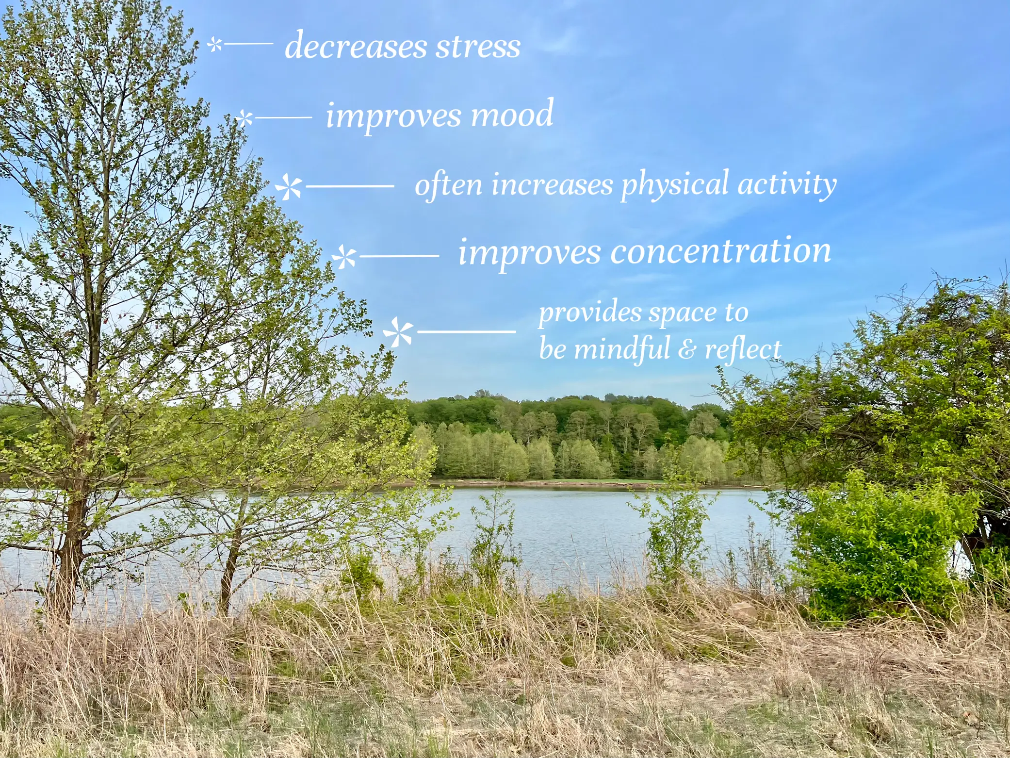 5 wellness benefits of being outside in nature | แกลเลอรีที่โพสต์โดย ...