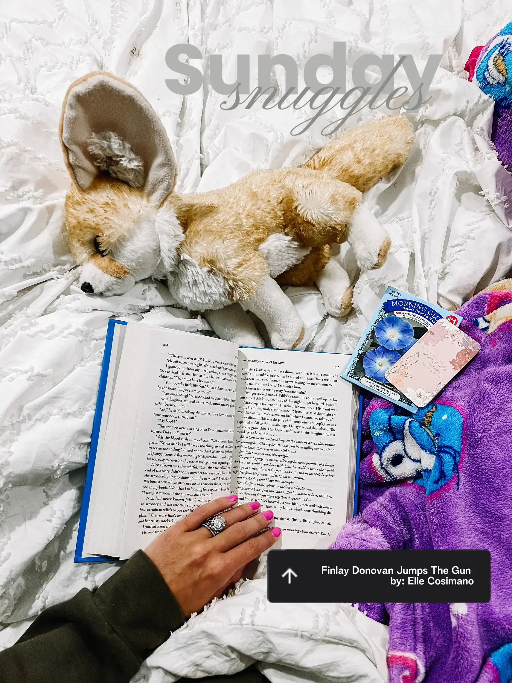 Sunday Snuggles 🦊 | Gallery posted by Chelsea Hawley | Lemon8