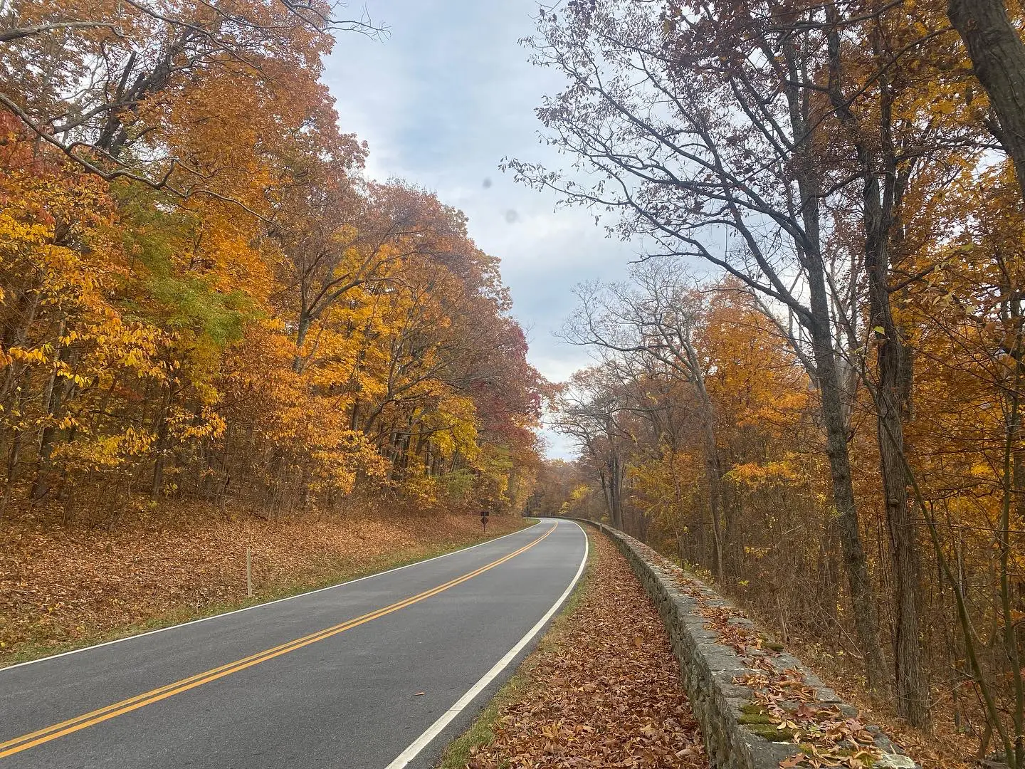 Missing fall 🍁 | แกลเลอรีที่โพสต์โดย Yeymi Ulloa | Lemon8