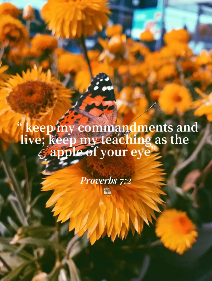 My Fav Bible Verses 🐚 | Gallery posted by Kyndall