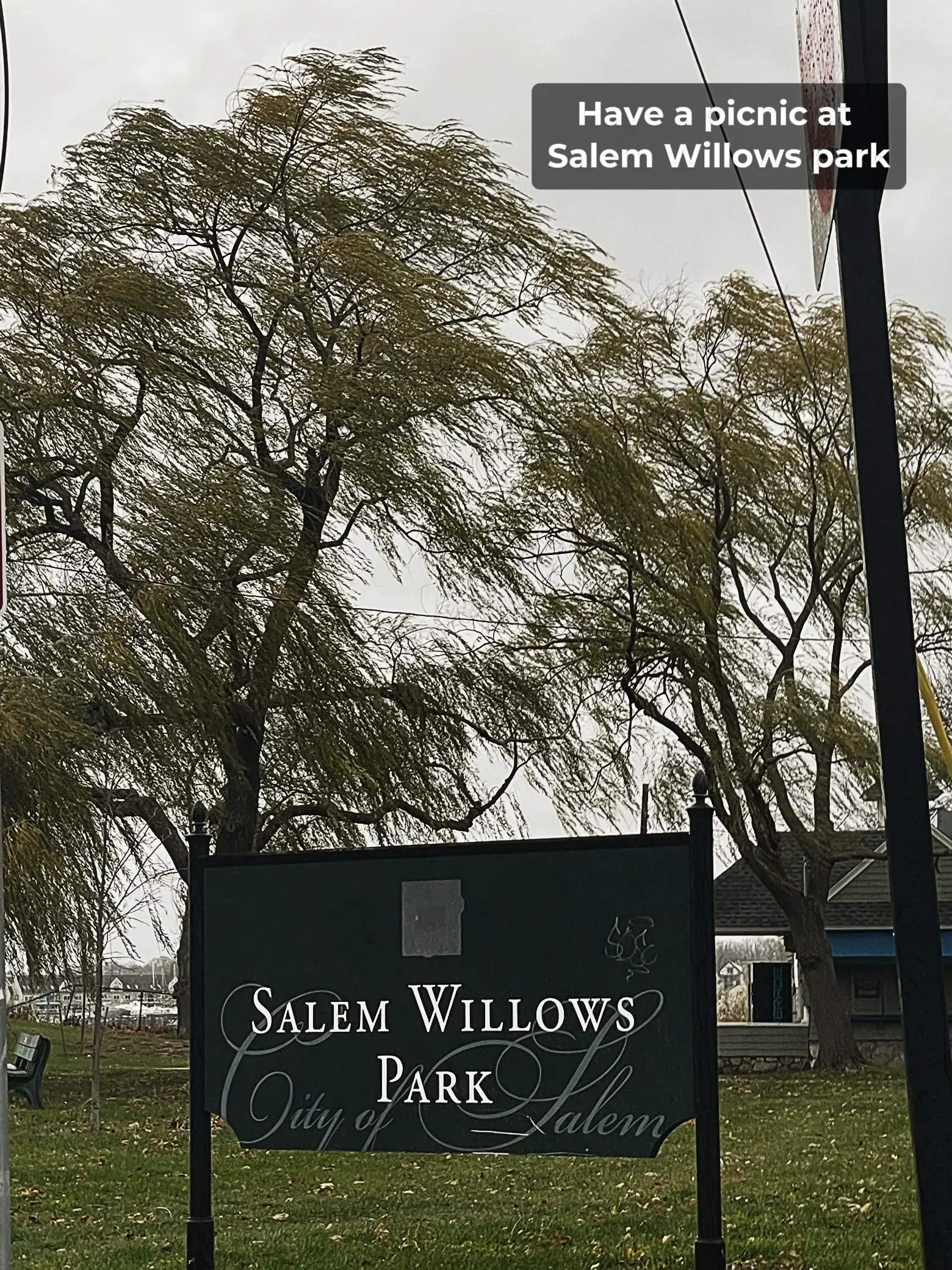 Things to do in Salem, MA | Gallery posted by 𝔑𝔬𝔦𝔯🥀 | Lemon8