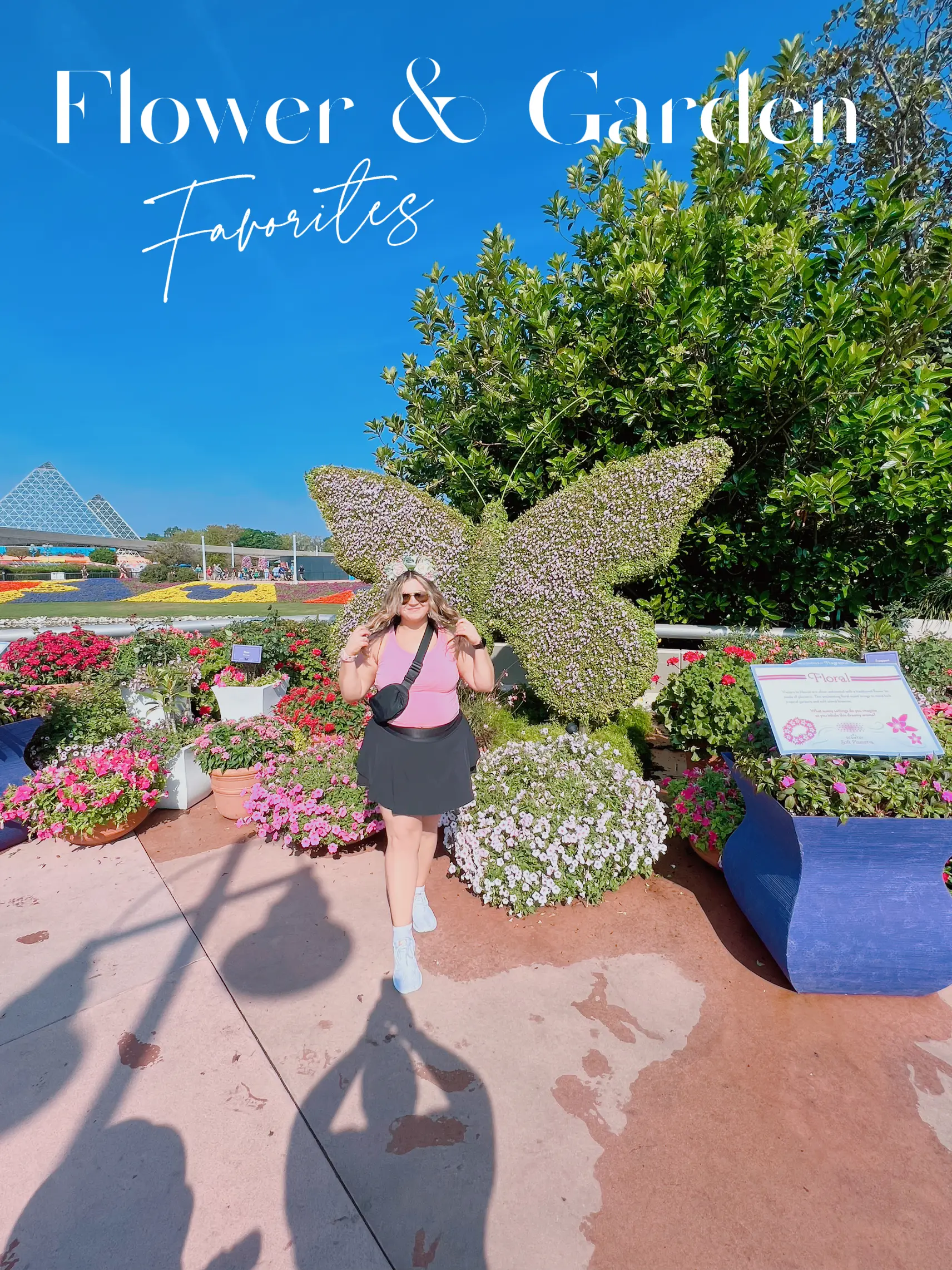 Flower gleam and glow | Gallery posted by Cat 🩷 | Lemon8