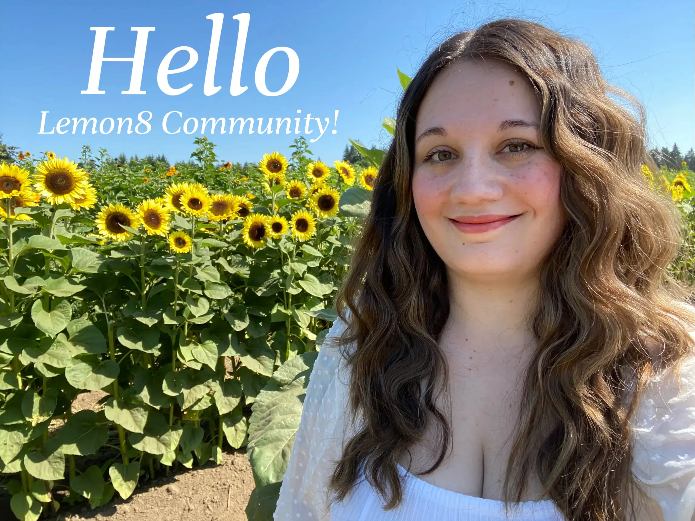 Hello! 🌻 | Gallery posted by theholidaycaddy | Lemon8