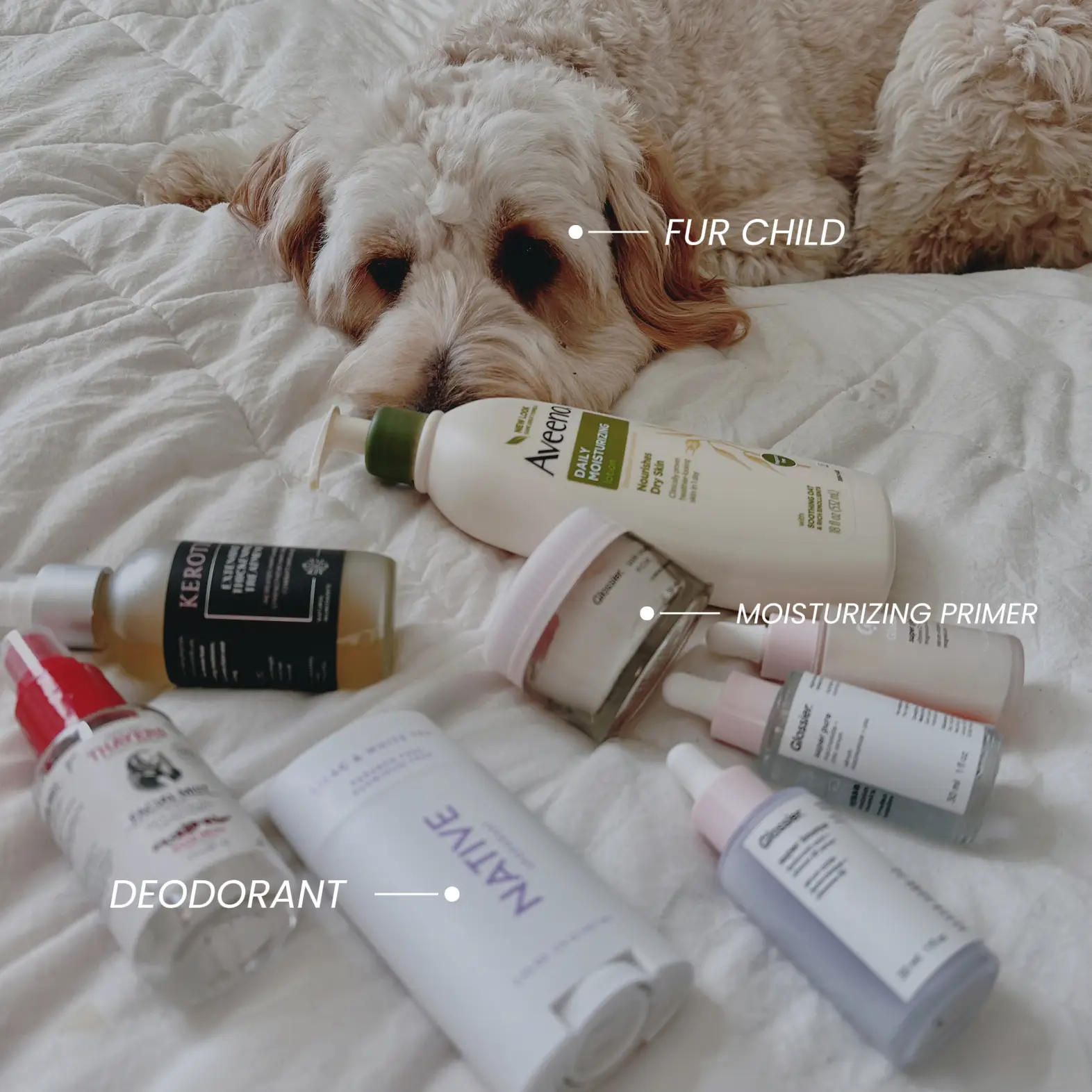 Naty Angelis - Lemon8 Search