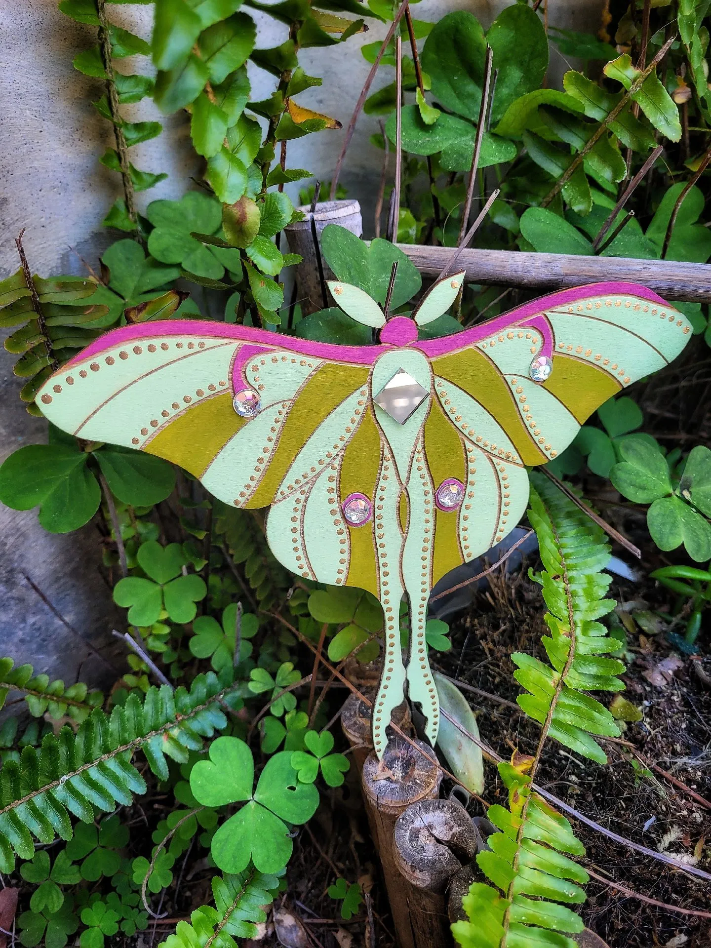 Brand new collection is coming to life 🦋 | Video published by Auragon | Lemon8