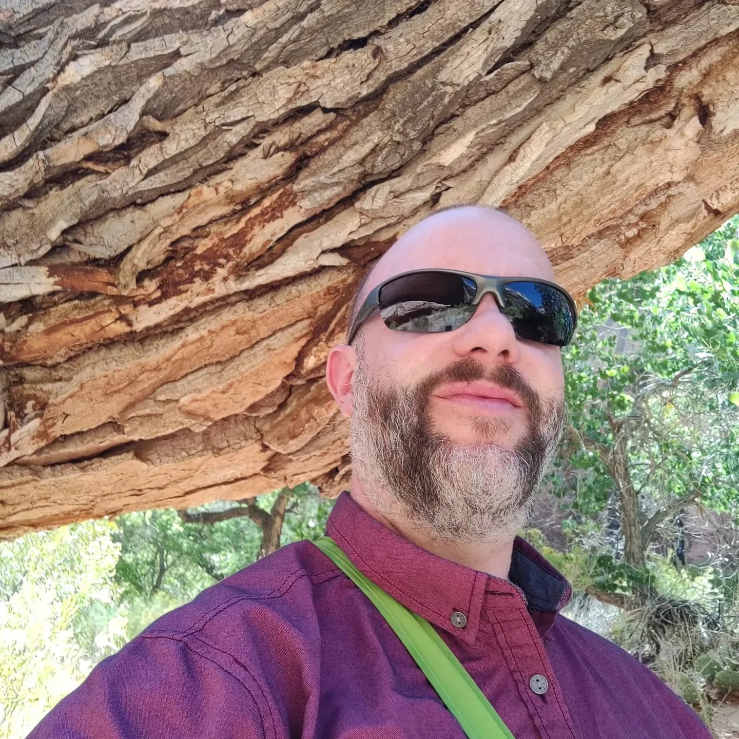 Taking a break out of the sun 😎 | Gallery posted by Bill | Lemon8