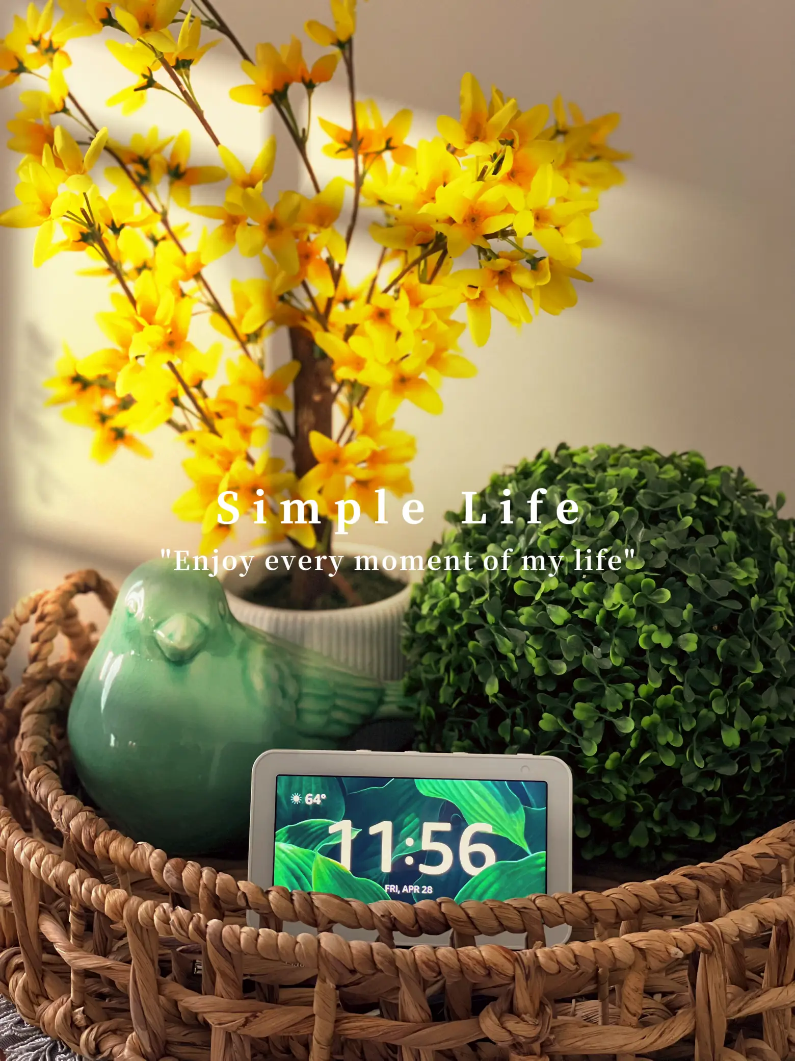 Simple yet beautiful | Gallery posted by Haley | Lemon8