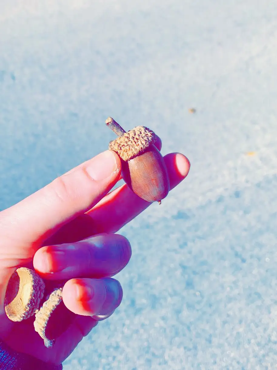 What he looks like to me 🦌🌲 | แกลเลอรีที่โพสต์โดย Iora 🐿️ | Lemon8