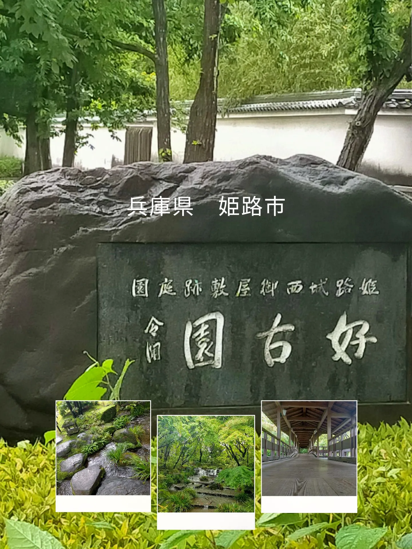 GW ในที่สุดฝนก็ตกกระทบสวนโบราณที่ดี | แกลเลอรีที่โพสต์โดย TO55 | Lemon8