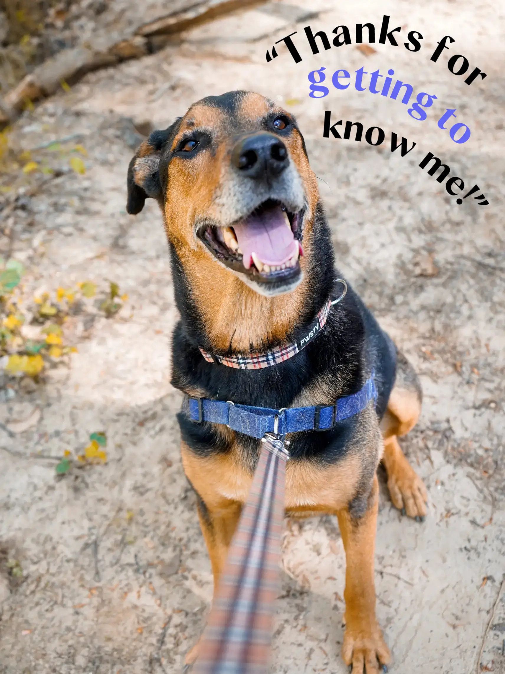 Get to know Brody! | Gallery posted by Mik • Bro • Lu | Lemon8