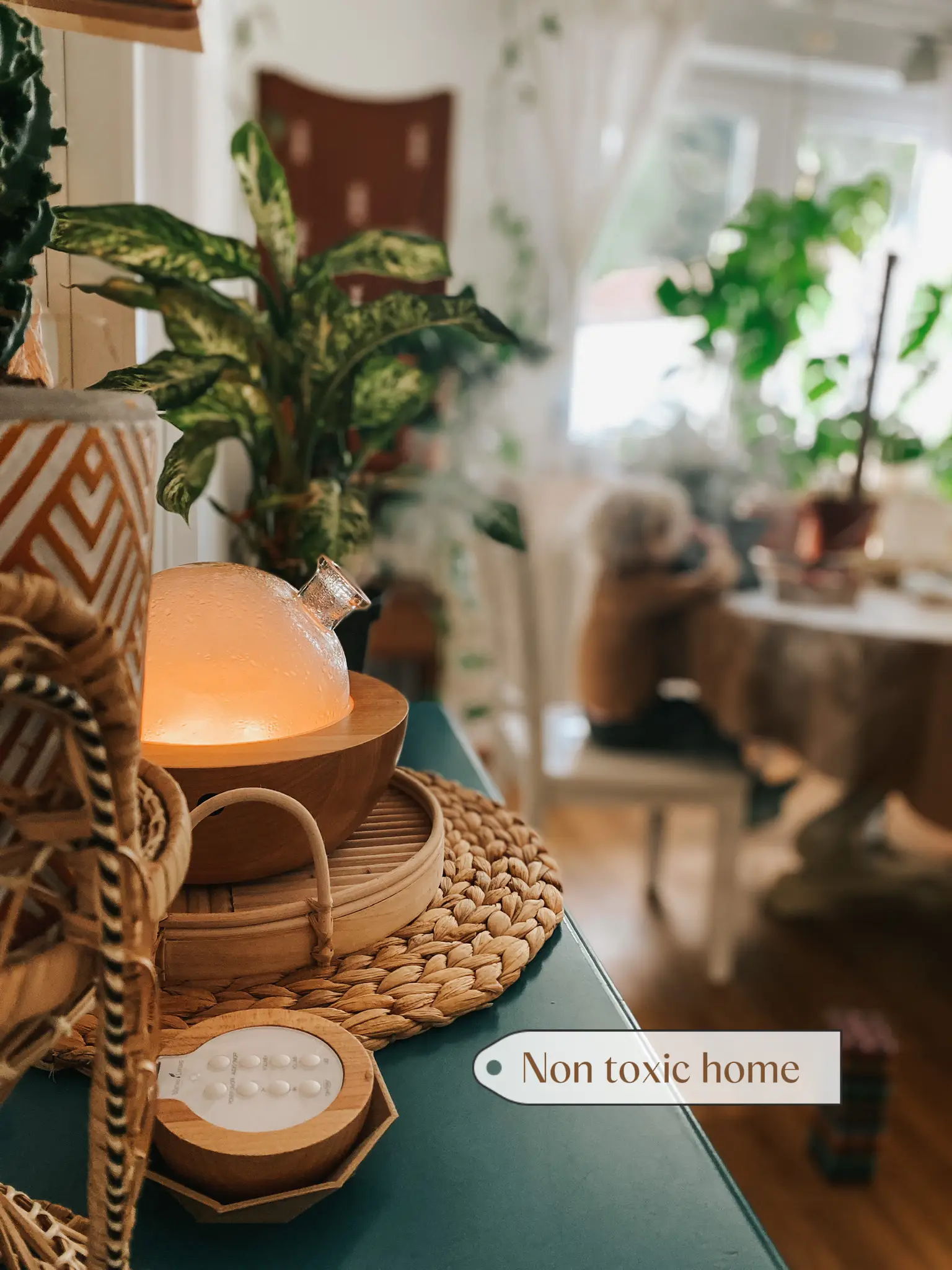 Plants & Oils is a Vibe | Gallery posted by Ellie Ramirez | Lemon8