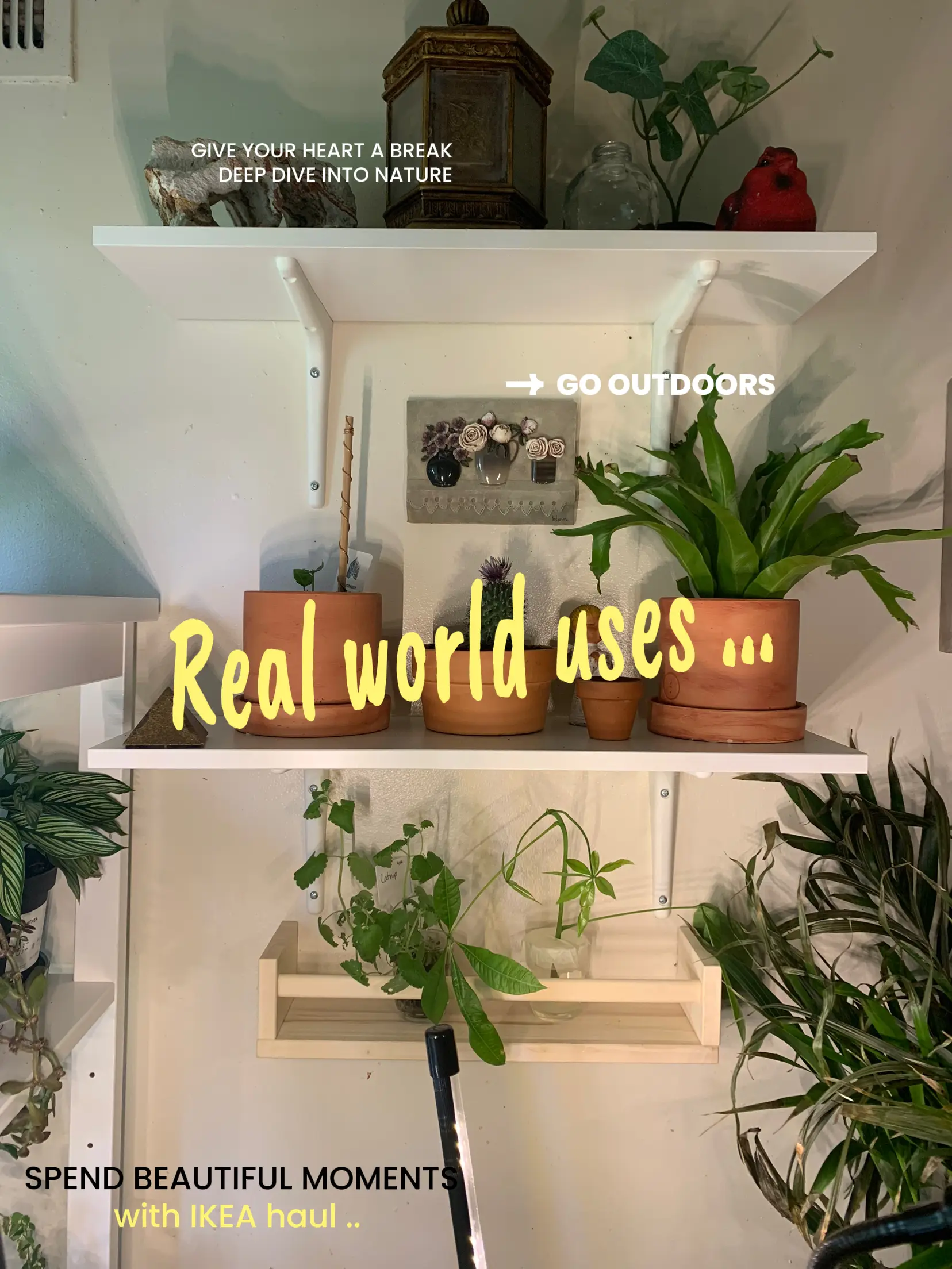 Cute shelves for plants … small budget … | แกลเลอรีที่โพสต์โดย Diana ...