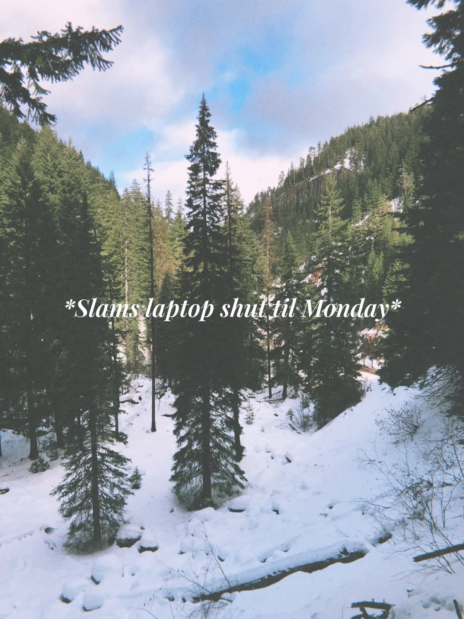 Slams laptop shut til Monday | Gallery posted by Kaitlyn Hardy | Lemon8